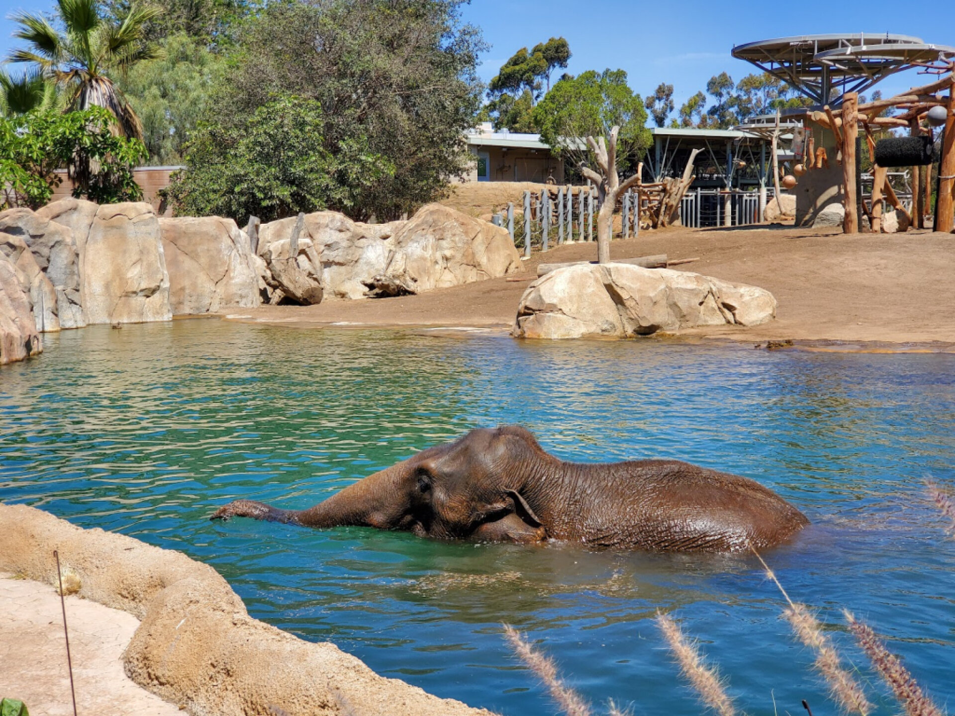 San Diego Zoo: Information, Tickets and Reviews