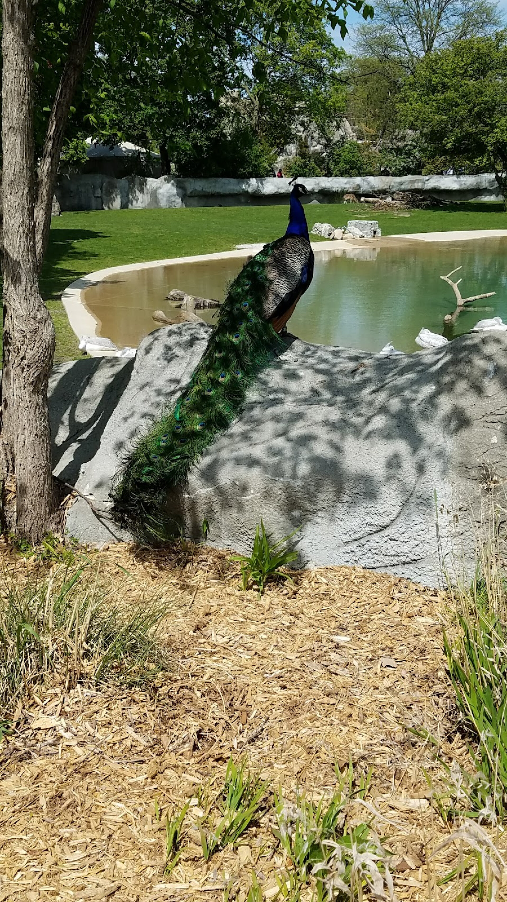 Australian Outback Adventure, Royal Oak, MI: Information, Tickets and ...