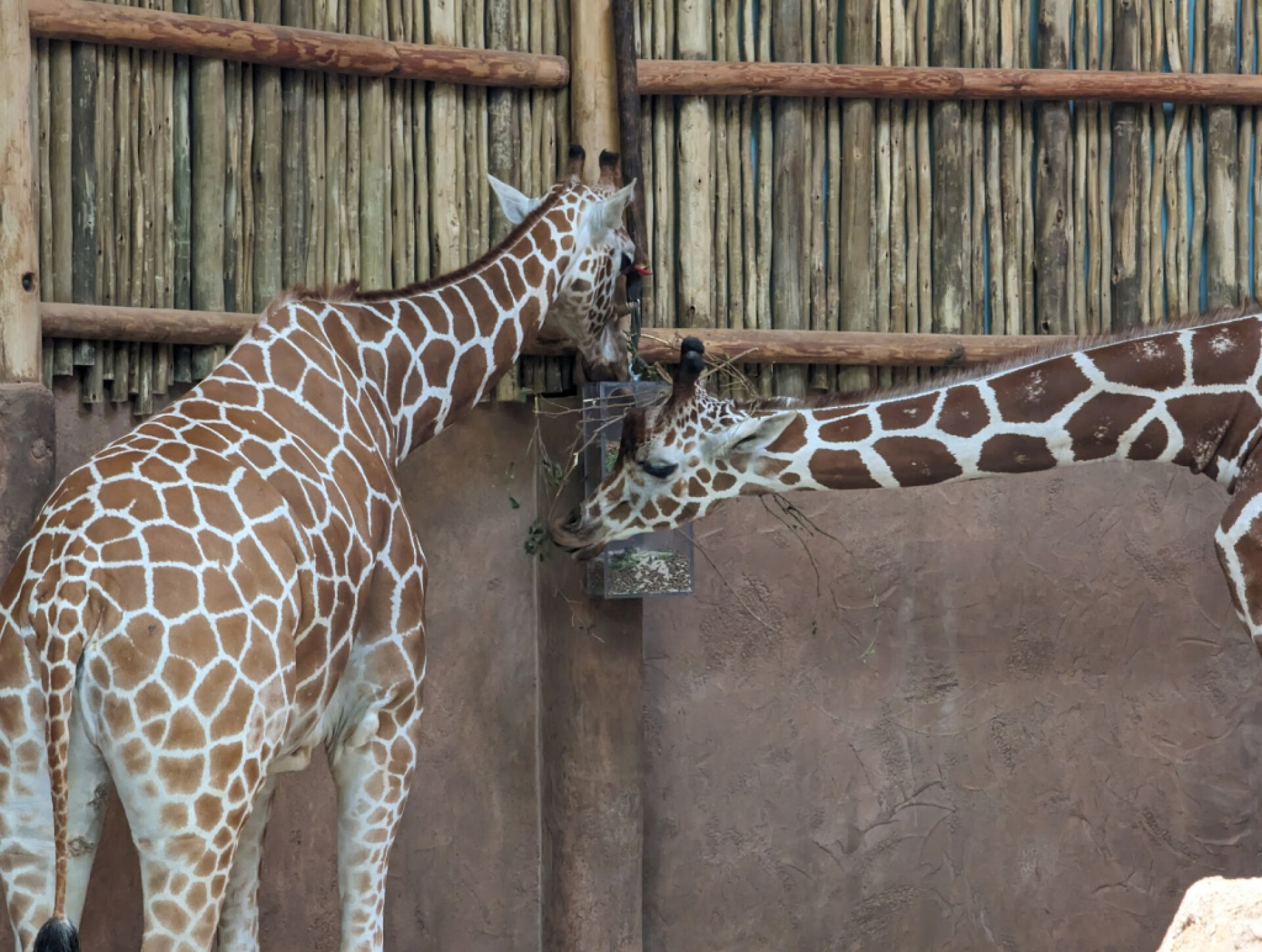 McCormick Bird House, Chicago, IL: Información, Entradas y Opiniones