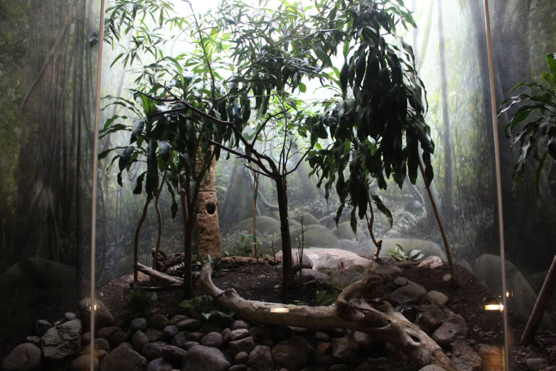 McCormick Bird House, Chicago, IL: Información, Entradas y Opiniones