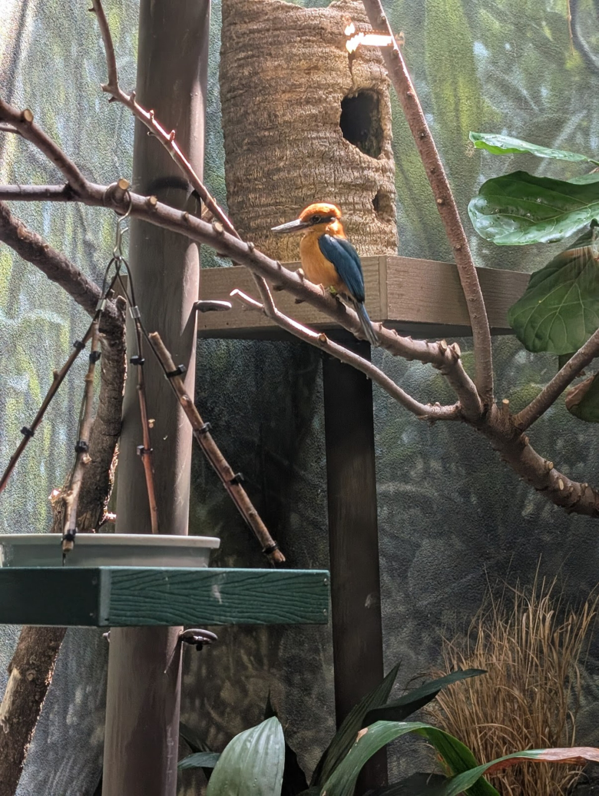 McCormick Bird House, Chicago, IL: Información, Entradas y Opiniones