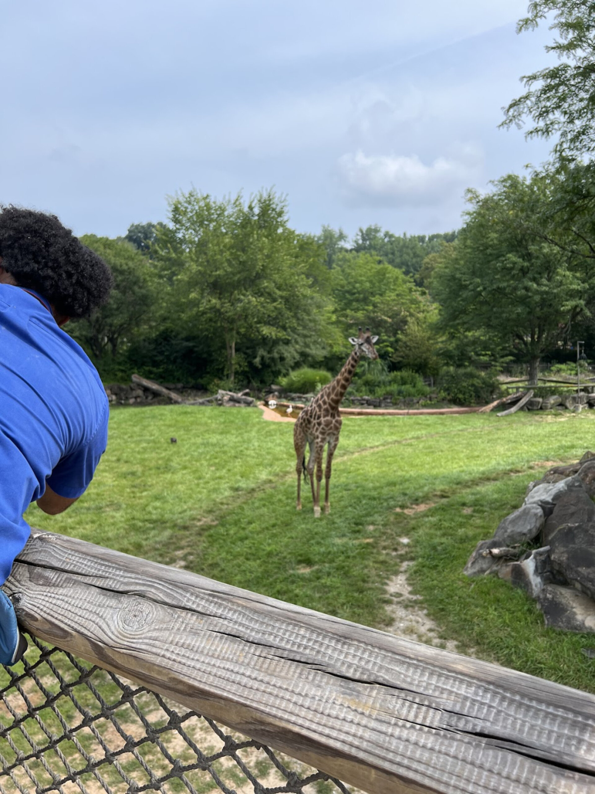 Lehner Family Zoo Gardens, Akron, OH: Information, Tickets and Reviews