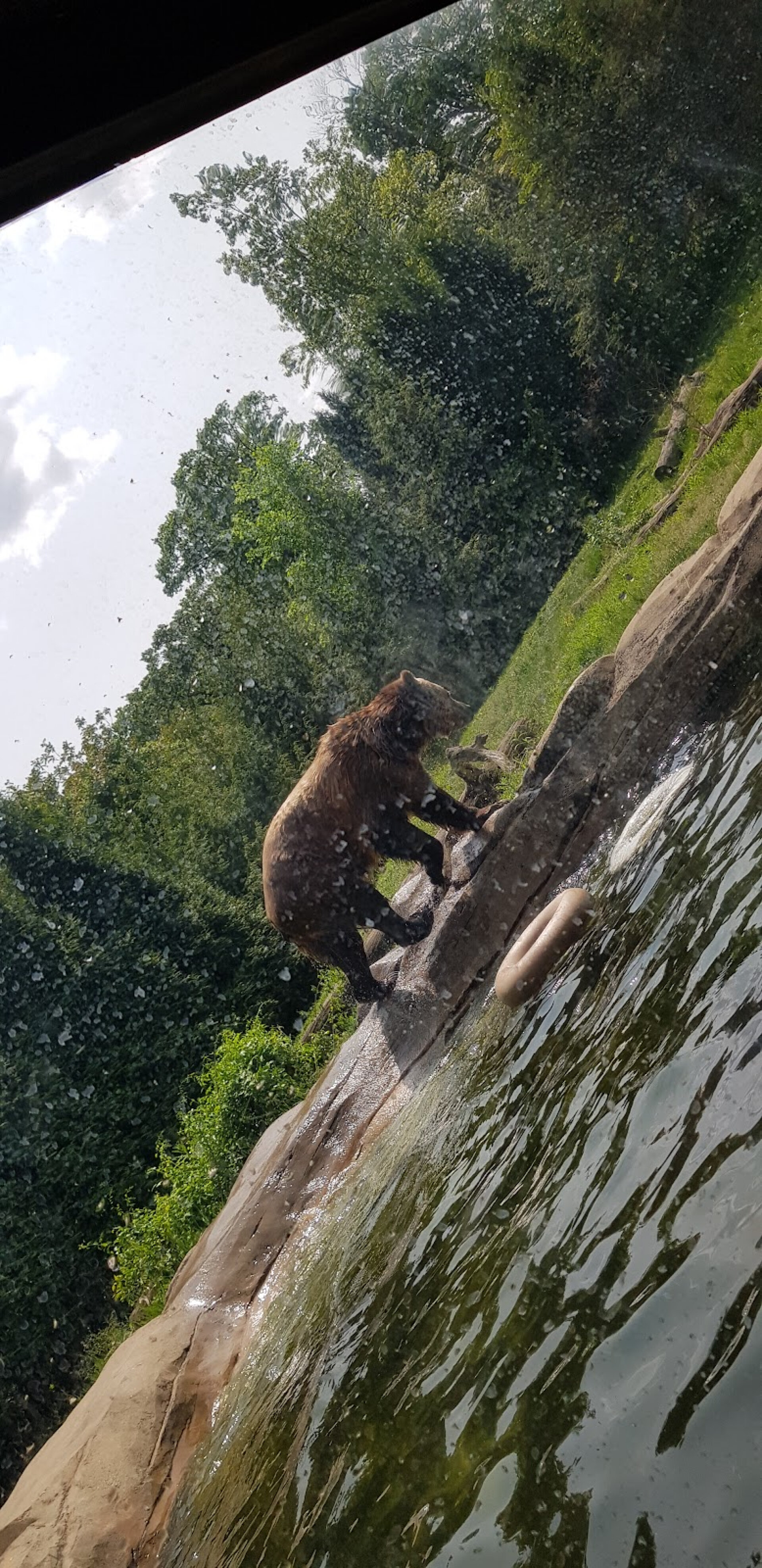 Lehner Family Zoo Gardens, Akron, OH: Information, Tickets and Reviews