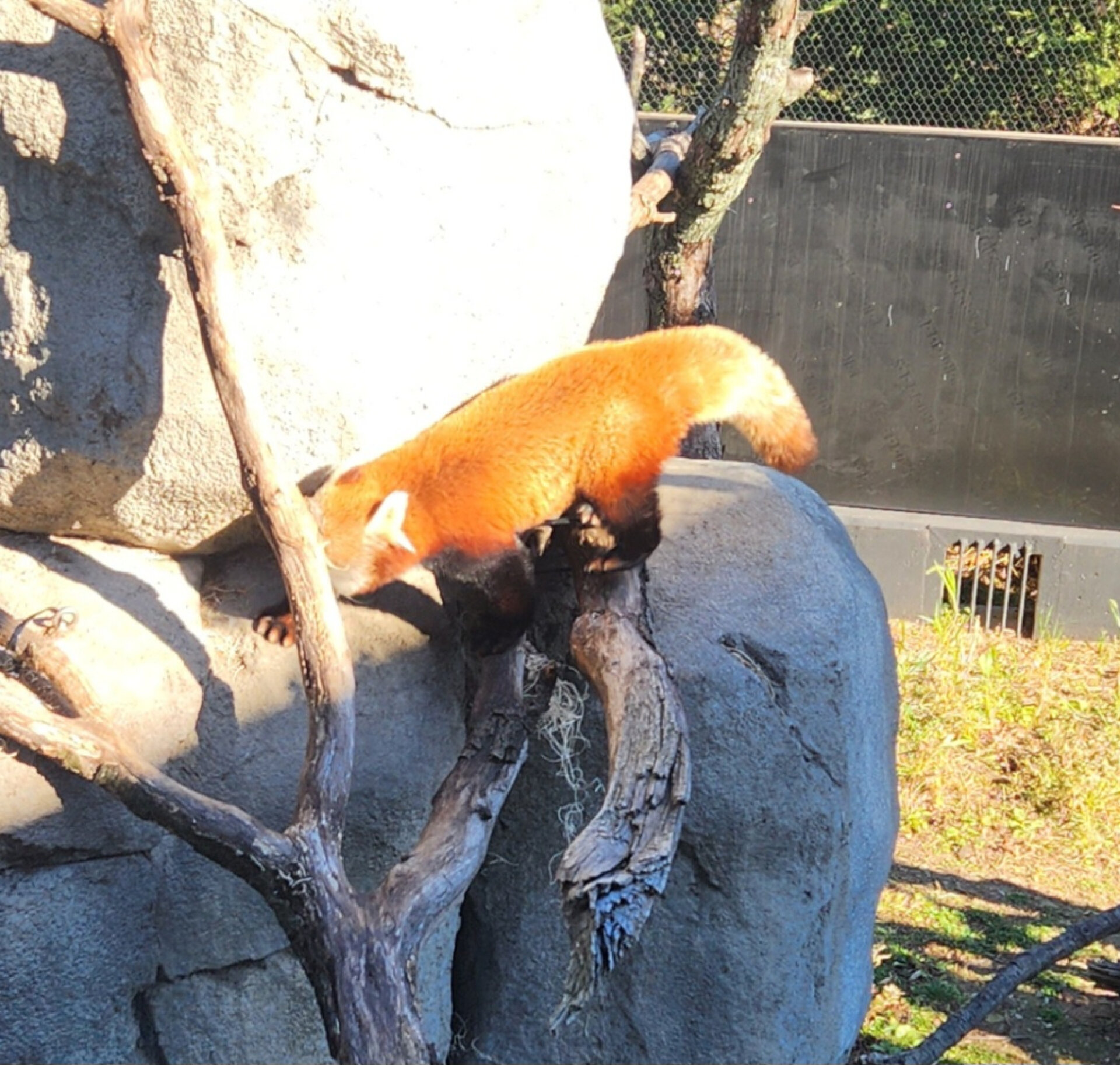 Lehner Family Zoo Gardens, Akron, OH: Information, Tickets and Reviews