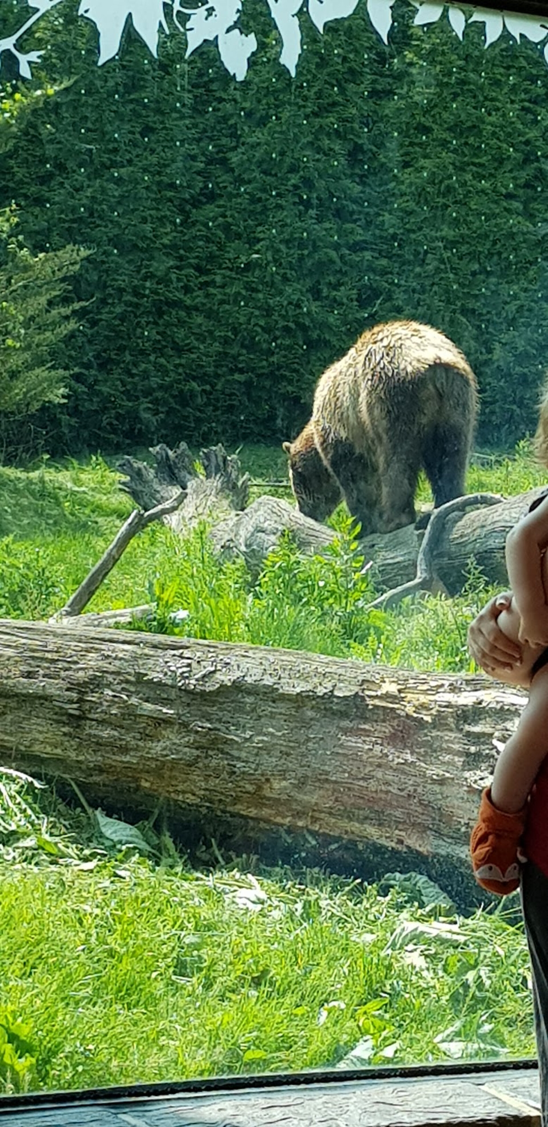 Lehner Family Zoo Gardens, Akron, OH: Information, Tickets and Reviews