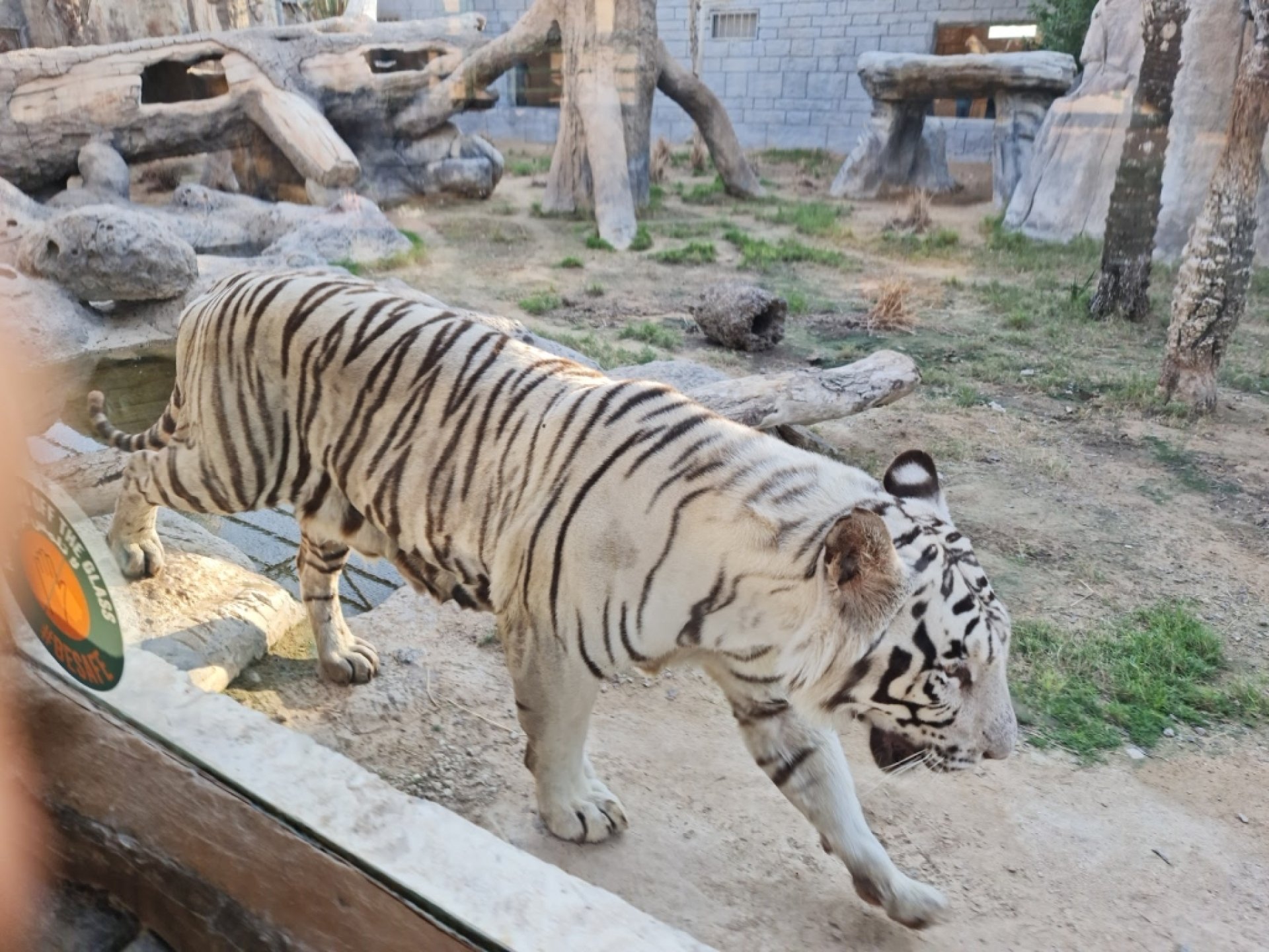 Emirates Park Zoo and Resort, Abu Dhabi: Information, Tickets and Reviews