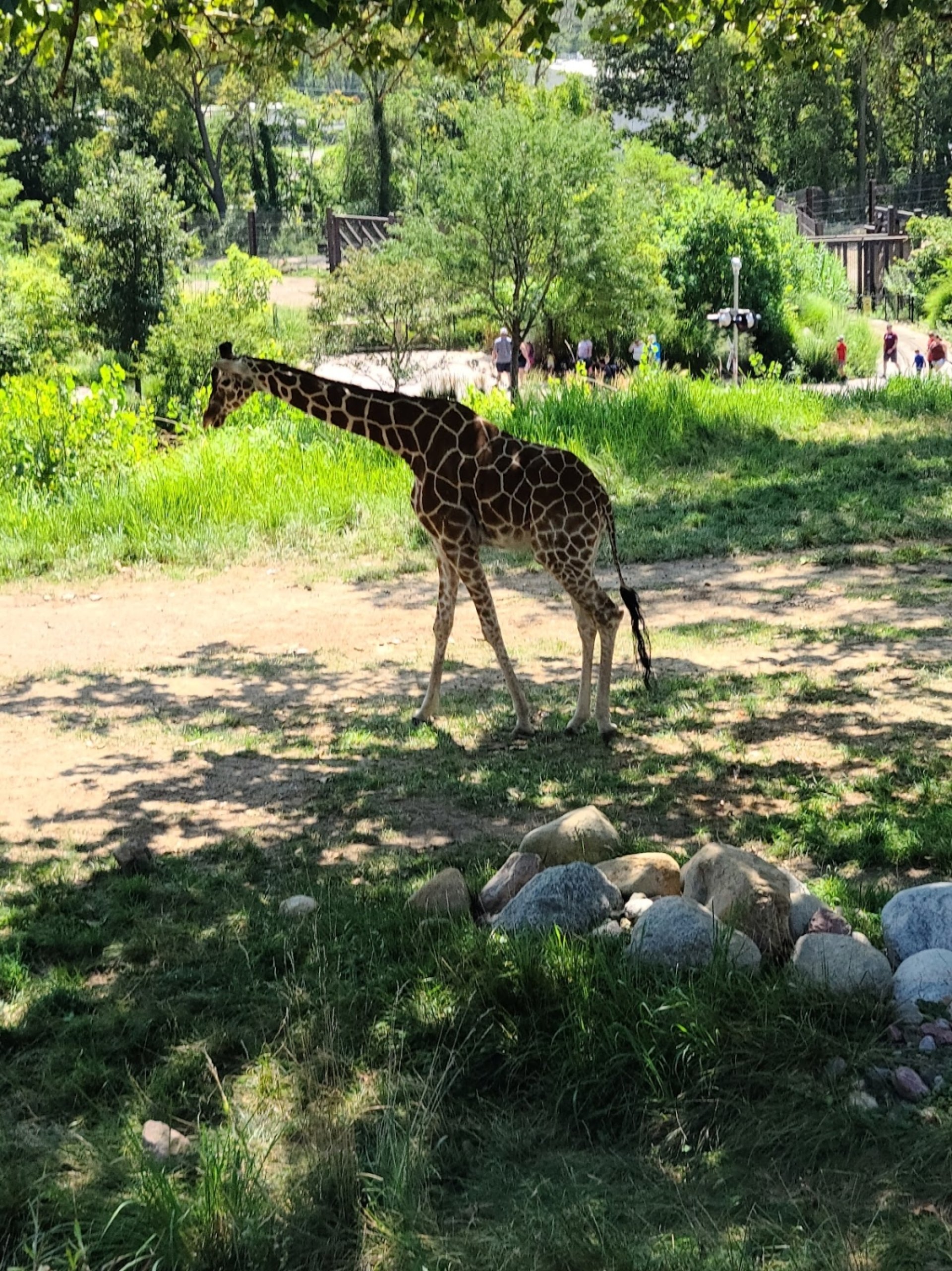 Omaha's Henry Doorly Zoo and Aquarium: Information, Tickets and Reviews