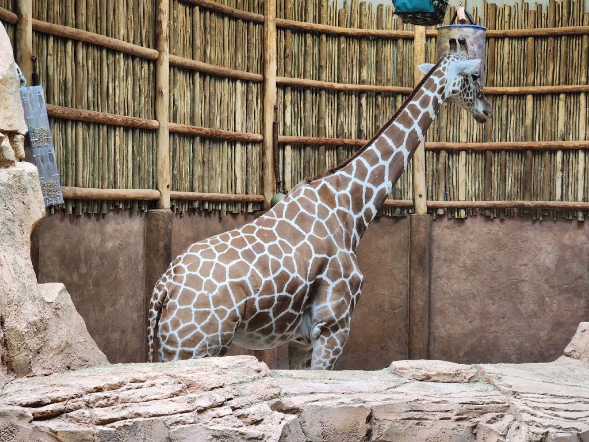 Lincoln Park Zoo, Chicago, IL: Information, Tickets and Reviews