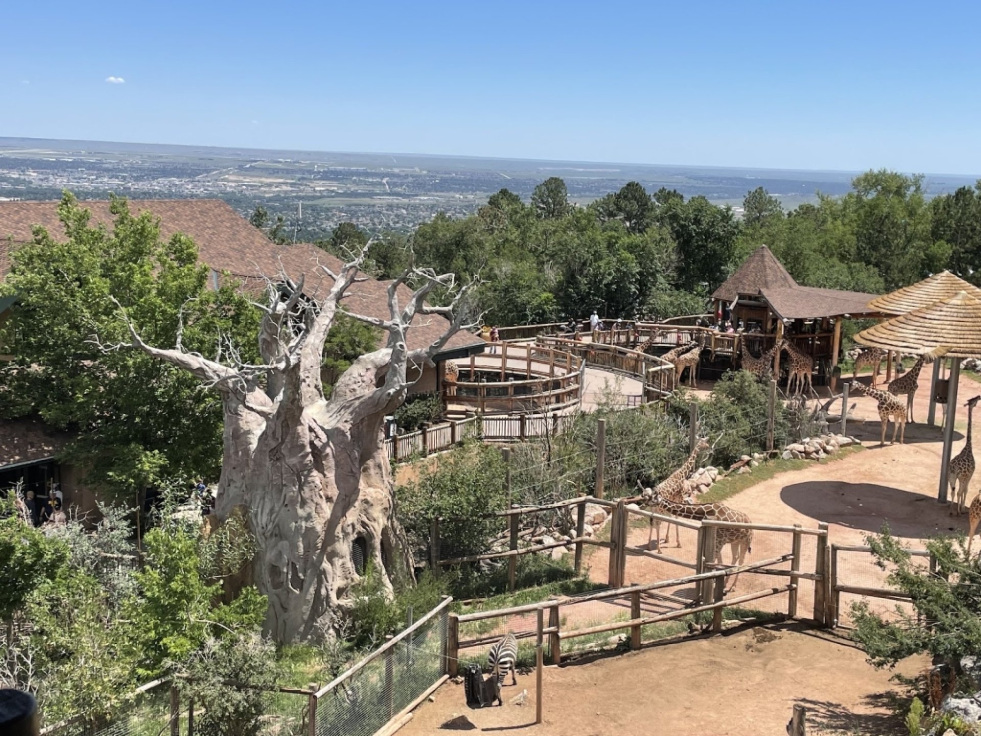 Cheyenne Mountain Zoo, Colorado Springs, CO: Information, Tickets and ...