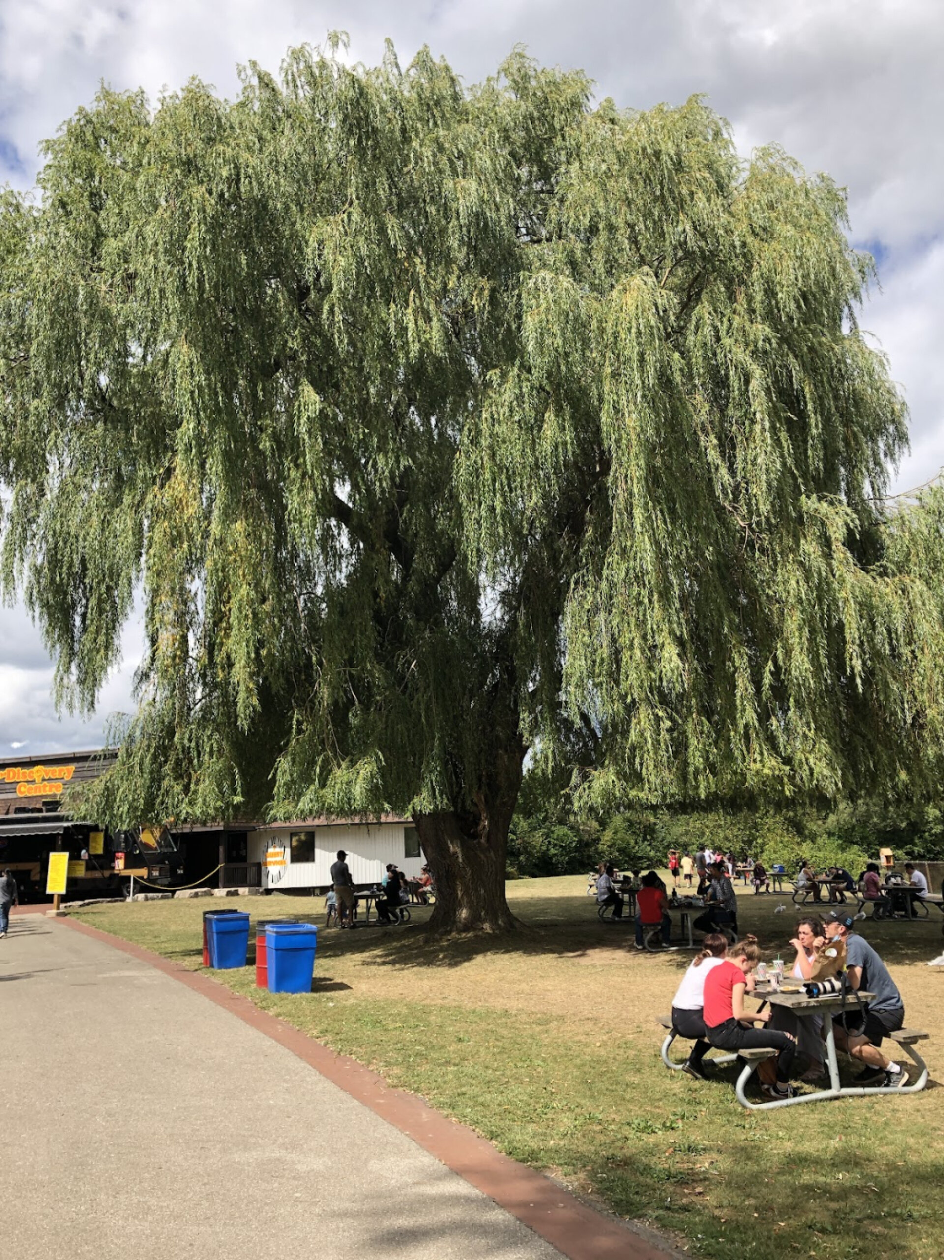 African Queen Boat Cruise, Hamilton: Información, Entradas y Opiniones