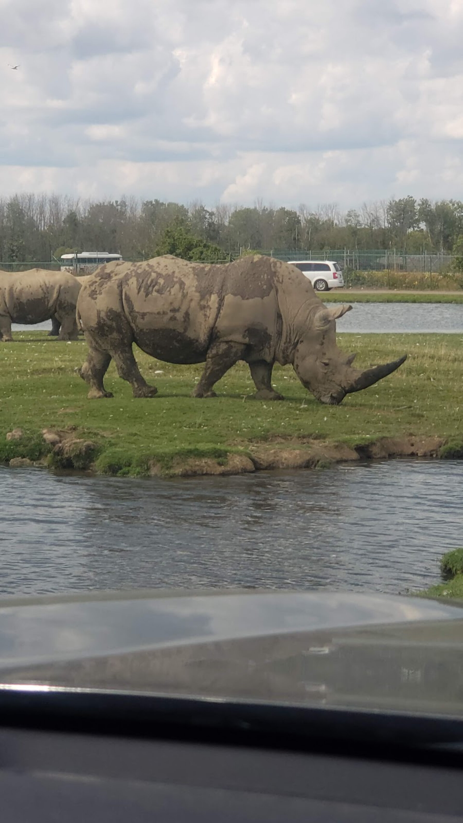 African Queen Boat Cruise, Hamilton: Información, Entradas y Opiniones