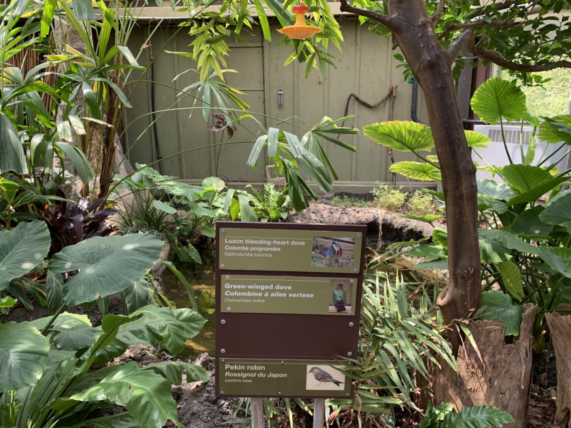 Indo Malaya Pavilion, Scarborough: Información, Entradas y Opiniones