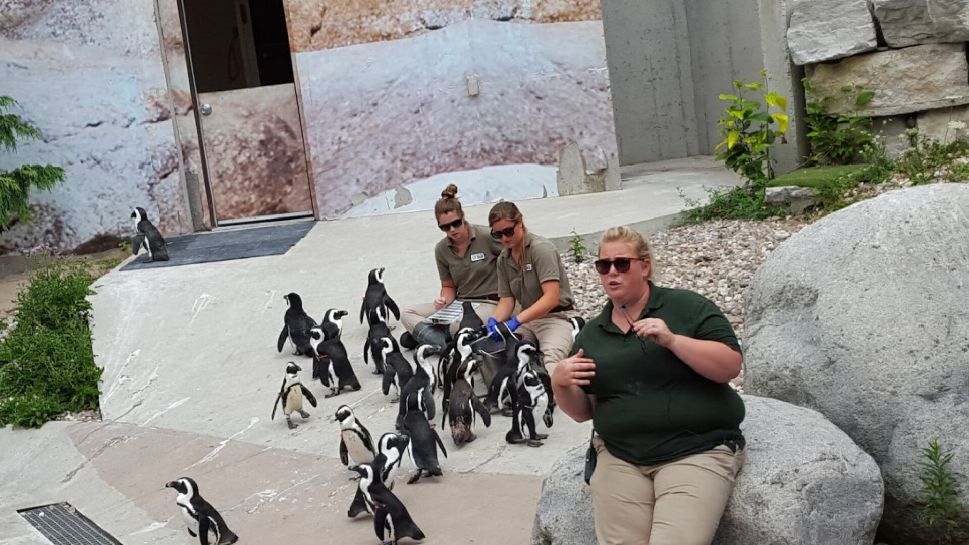 Penguin House, Scarborough: Information, Tickets and Reviews