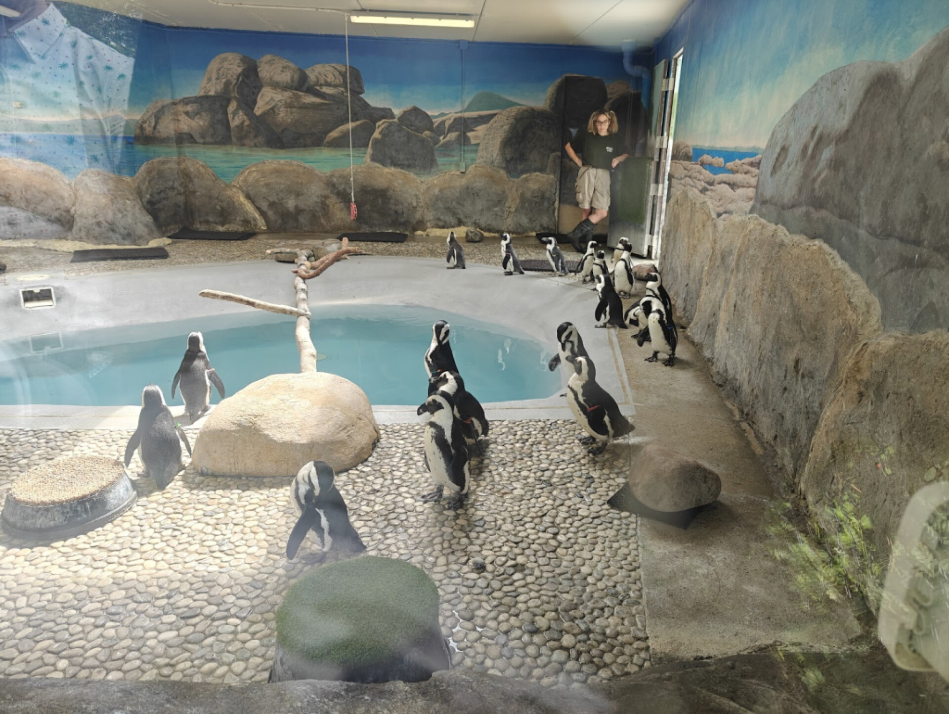 Penguin House, Scarborough: Information, Tickets and Reviews