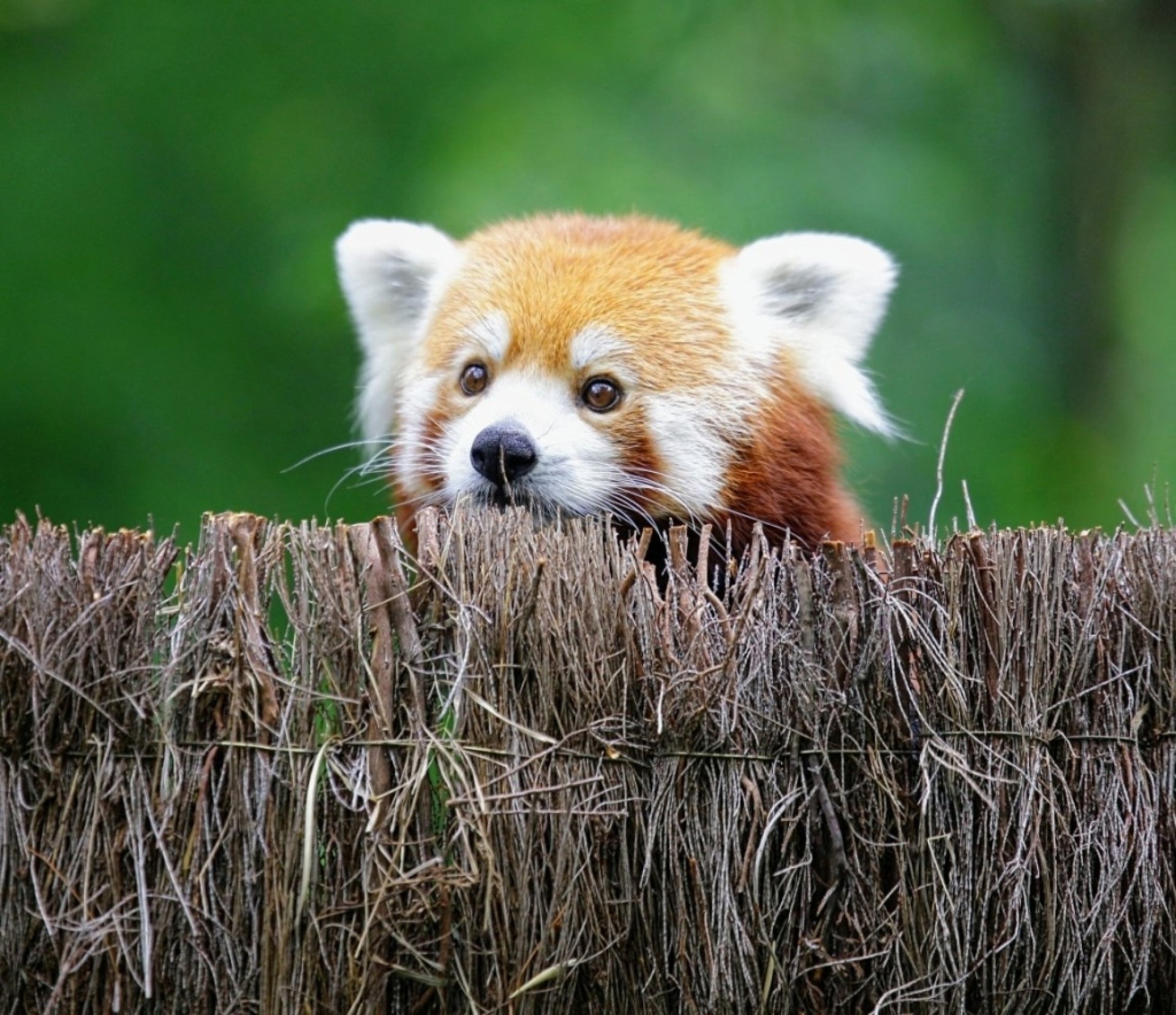 Central Park Zoo, New York, NY: Information, Tickets and Reviews
