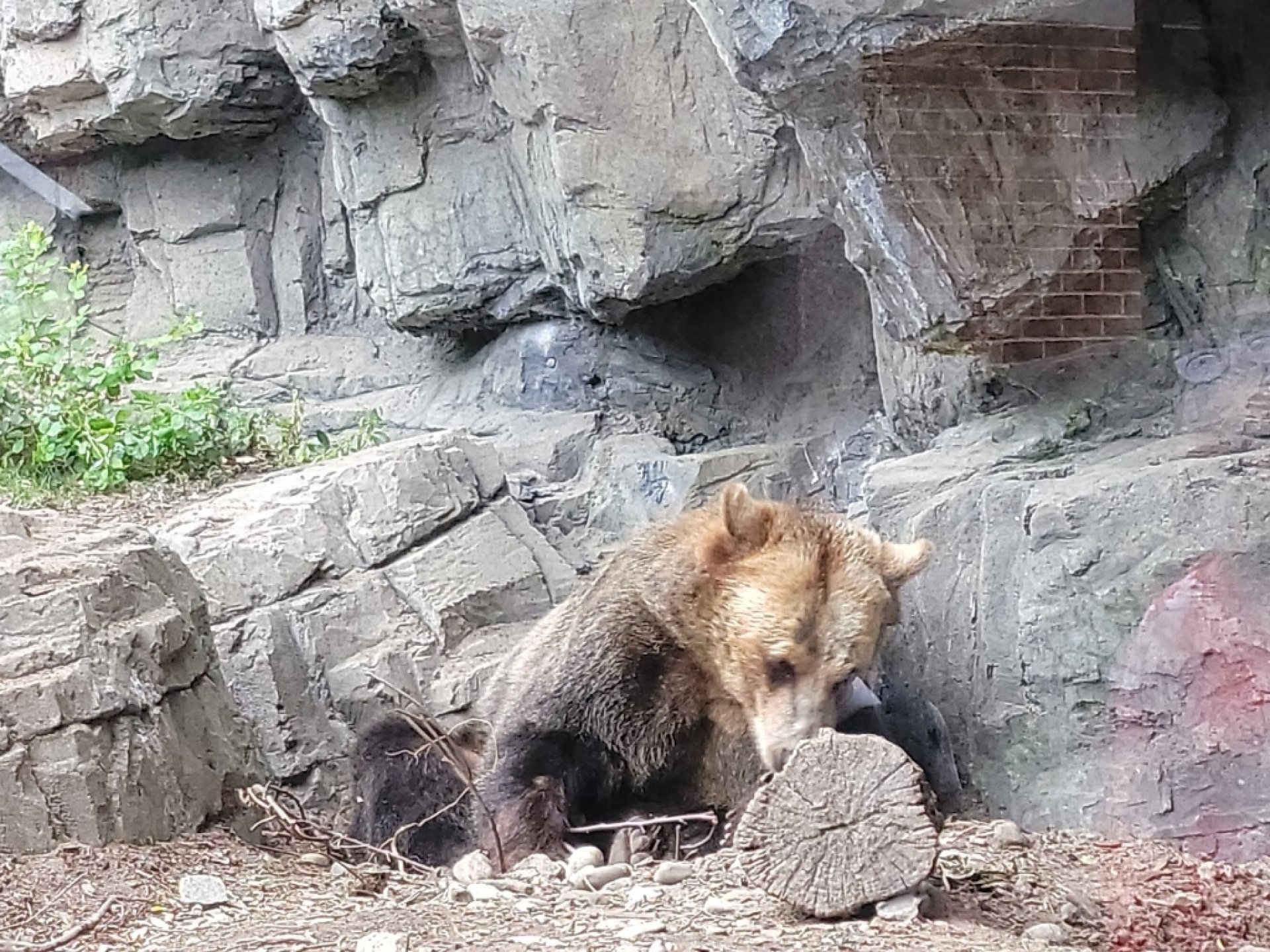 Central Park Zoo, New York, NY: Information, Tickets and Reviews