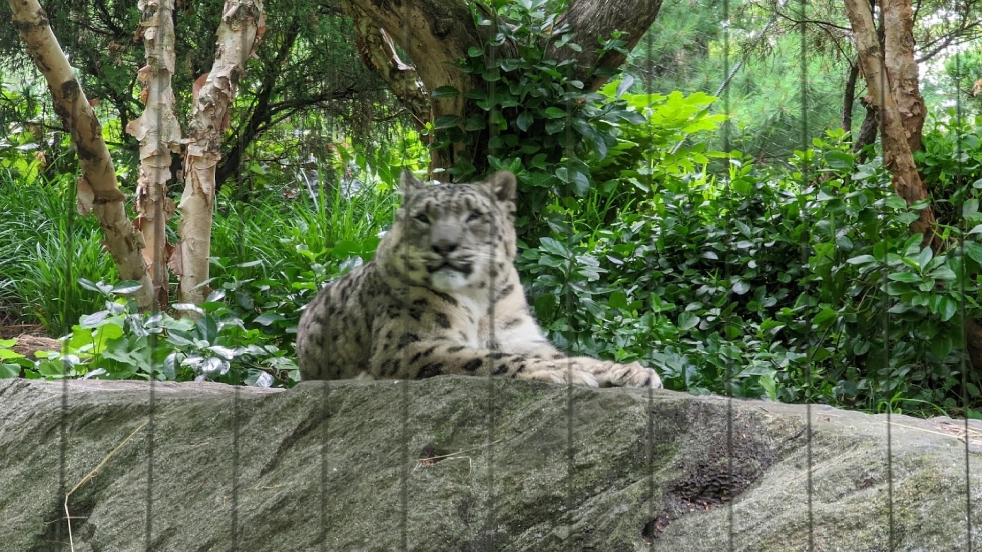 Central Park Zoo, New York, NY: Information, Tickets and Reviews