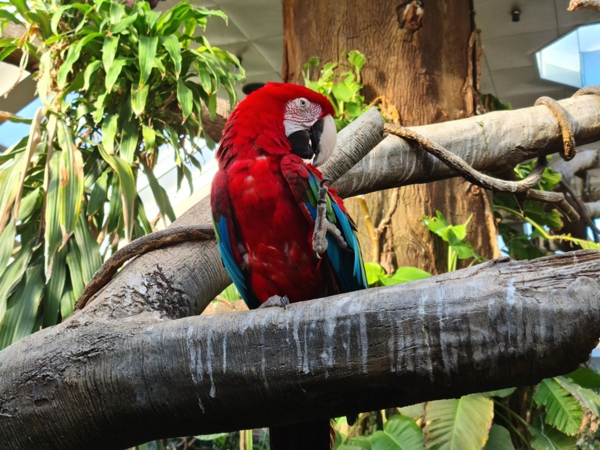 Central Park Zoo, New York, NY: Information, Tickets and Reviews