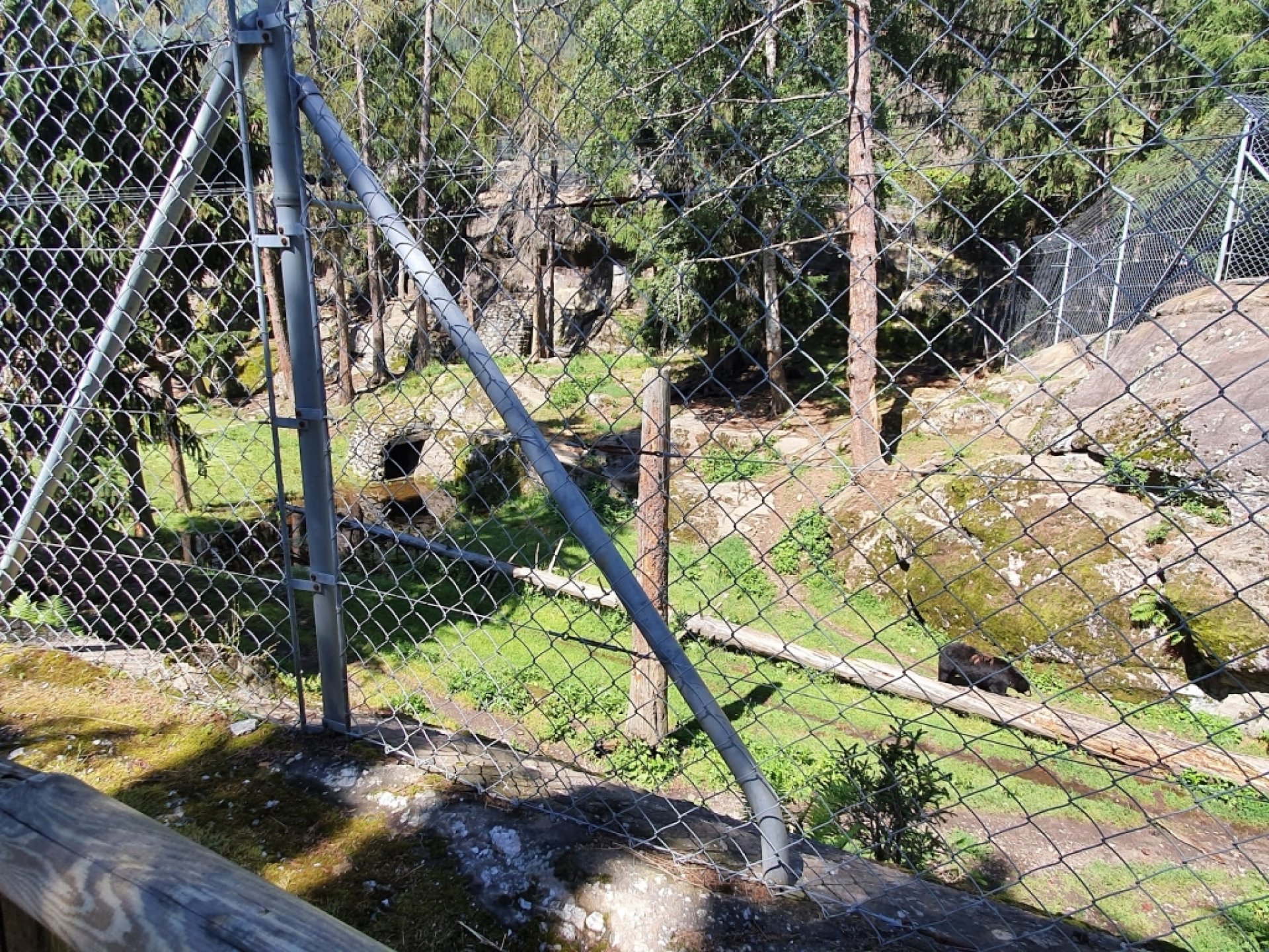 Zoo and Pool of Marécottes, Les Marécottes: Information, Tickets and ...