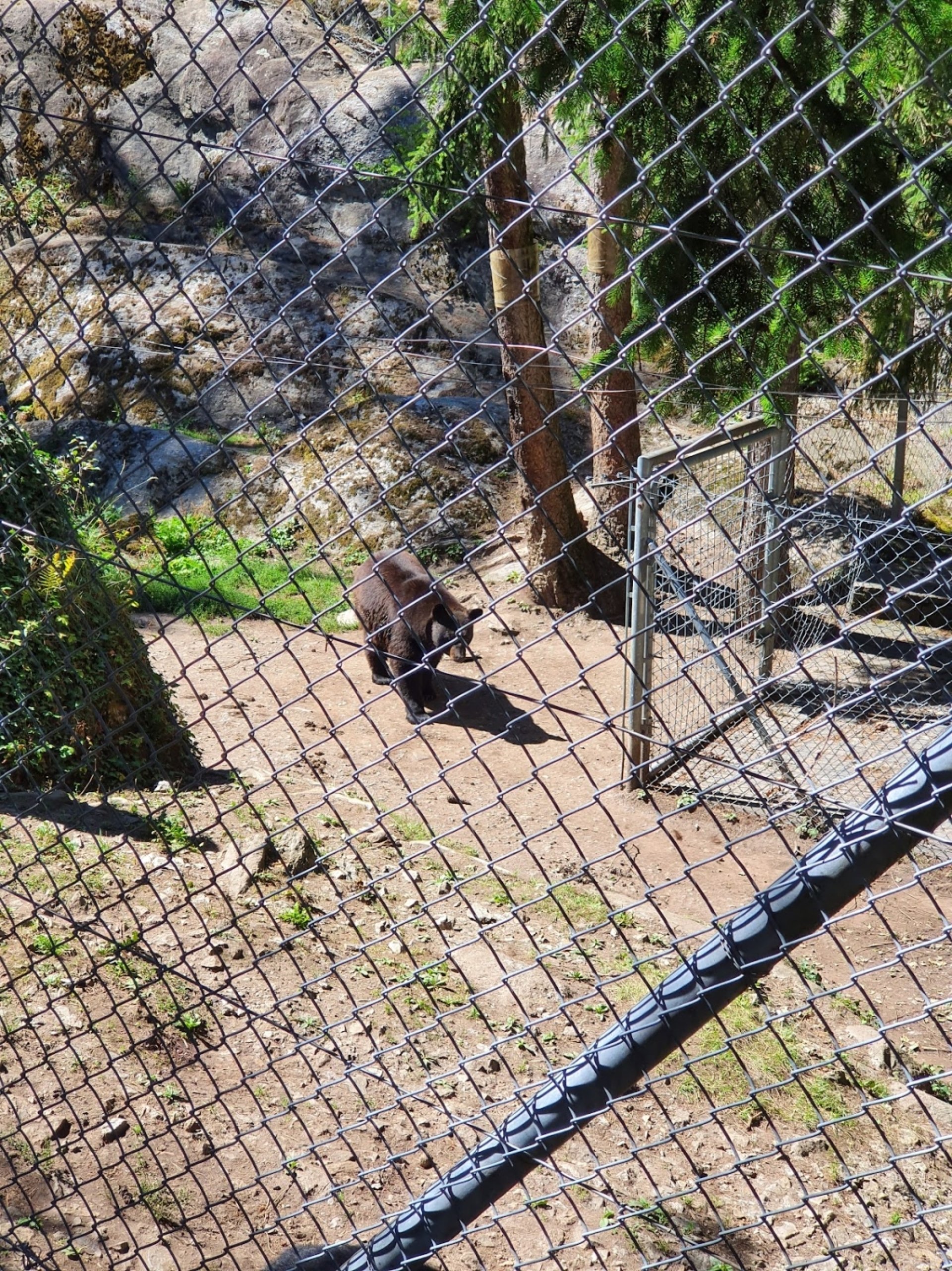 Zoo and Pool of Marécottes, Les Marécottes: Information, Tickets and ...