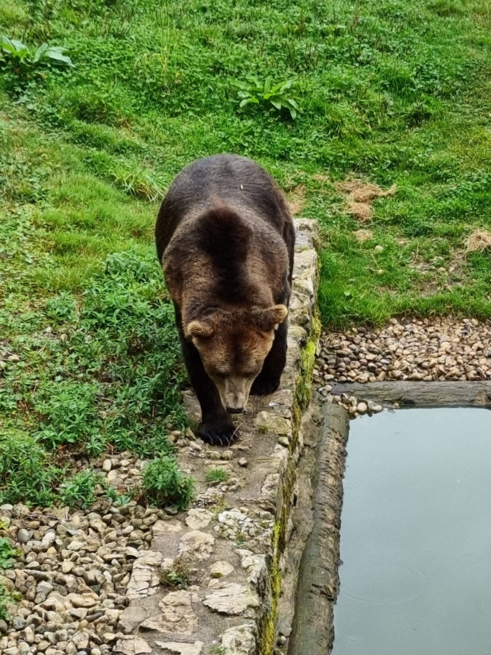 Juraparc, Vallorbe: Information, Tickets and Reviews