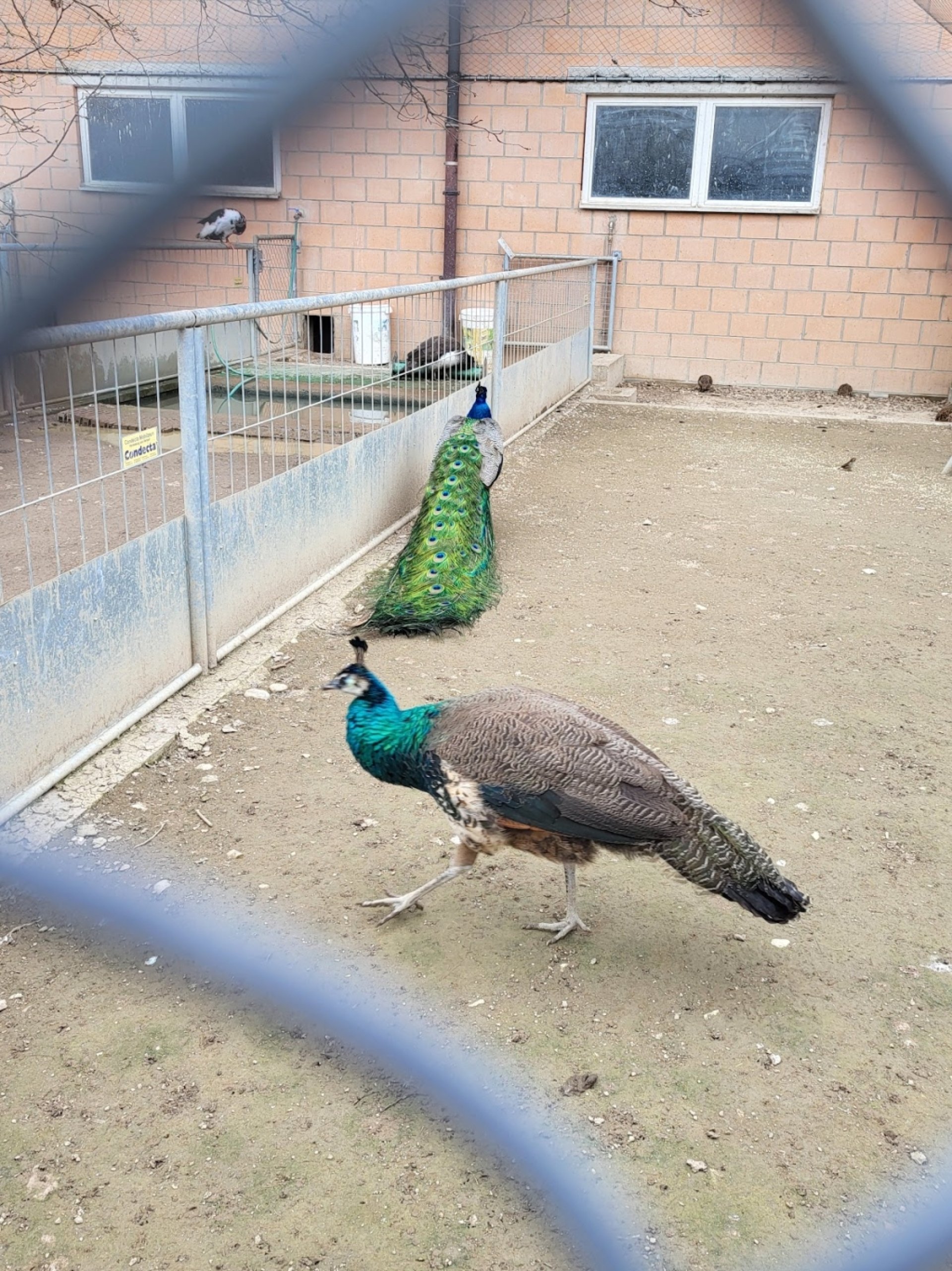 St. Bartholomew Foundation Farm, La Sarraz: Information, Tickets and ...