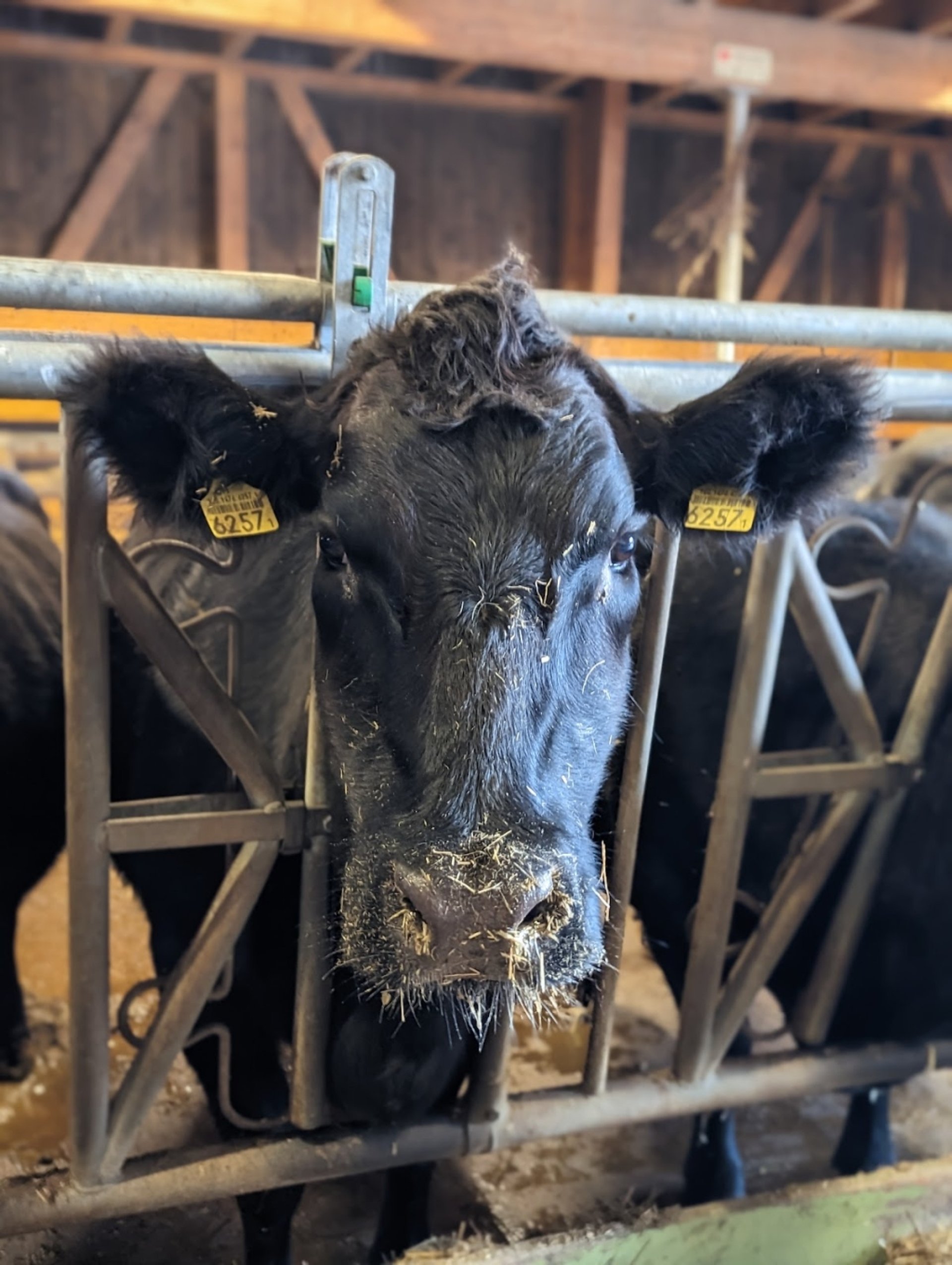 St. Bartholomew Foundation Farm, La Sarraz: Information, Tickets and ...