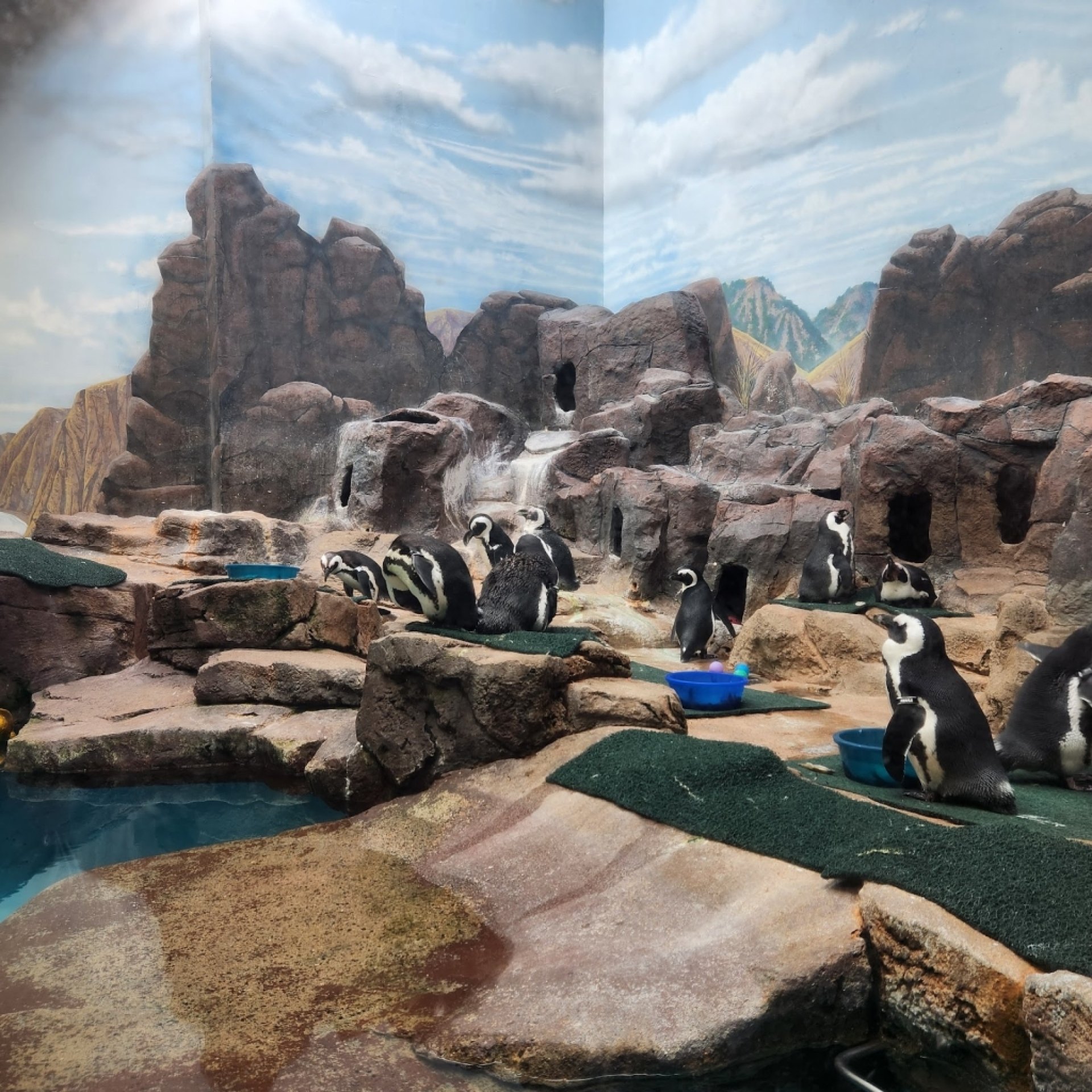 Como Park Zoo & Conservatory, Saint Paul, MN: Information, Tickets and ...