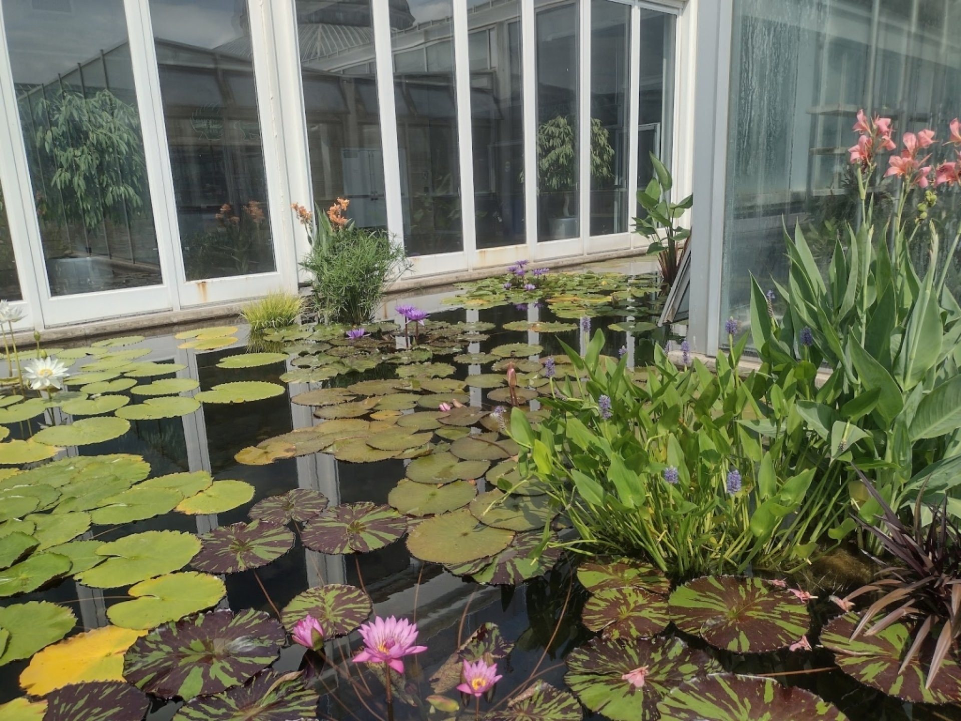 Como Park Zoo & Conservatory, Saint Paul, MN: Information, Tickets and ...