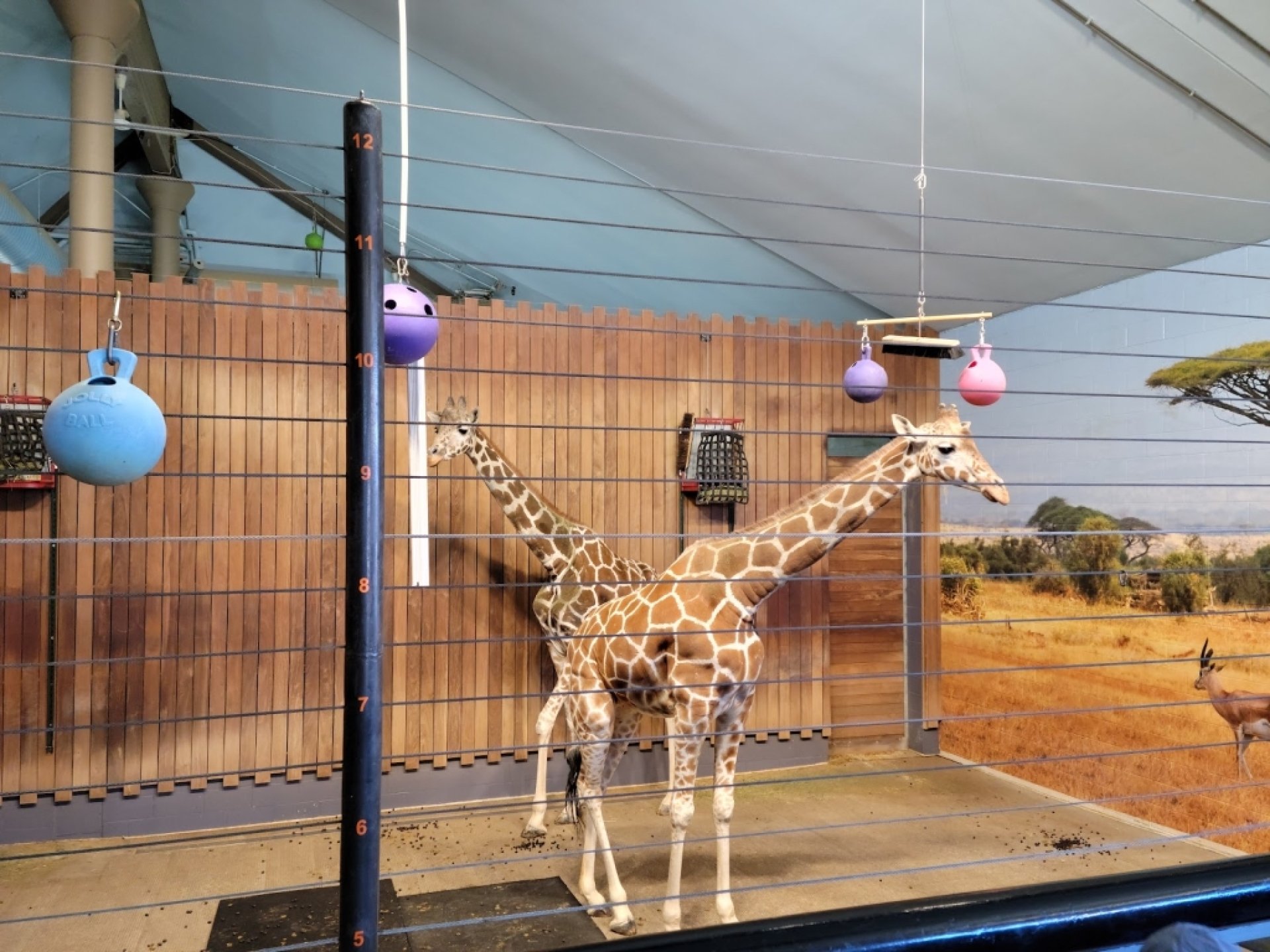 Como Park Zoo & Conservatory, Saint Paul, MN: Information, Tickets and ...