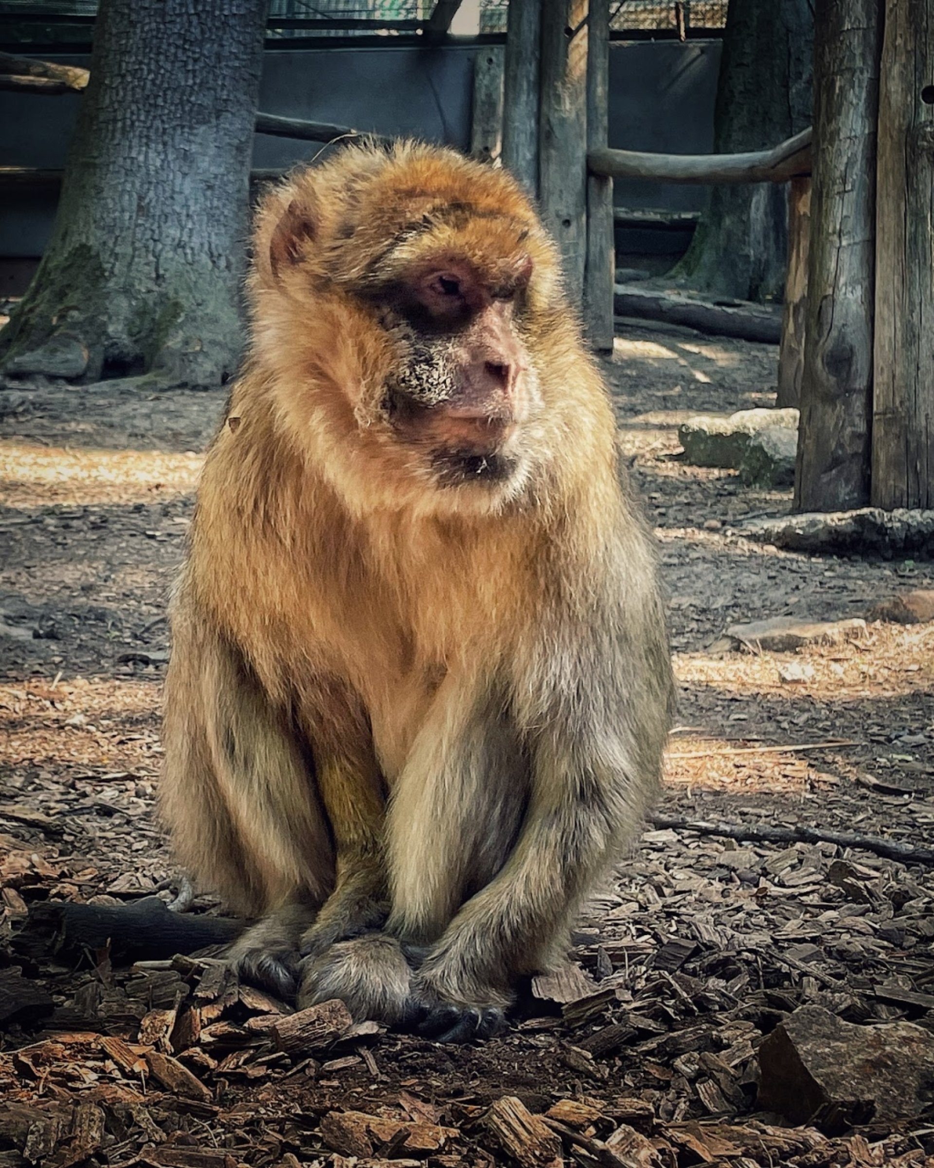 Aachen Zoo Euregiozoo: Information, Tickets and Reviews