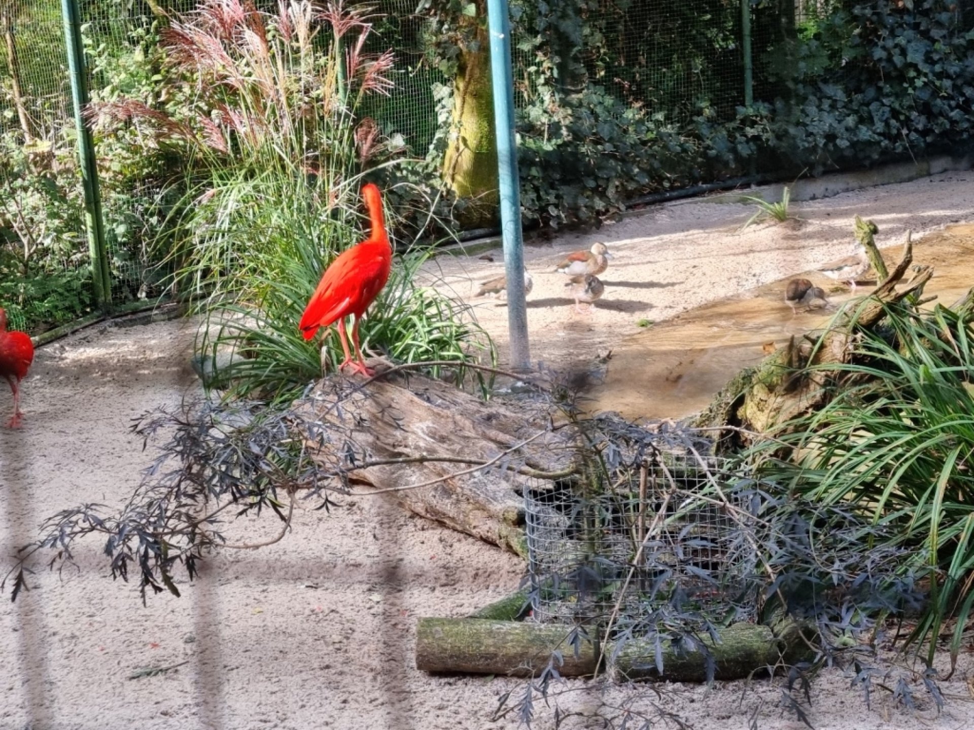 BRAUNSCHWEIG ZOO 'Noah's Ark' Uwe Wilhelm GmbH, Braunschweig ...