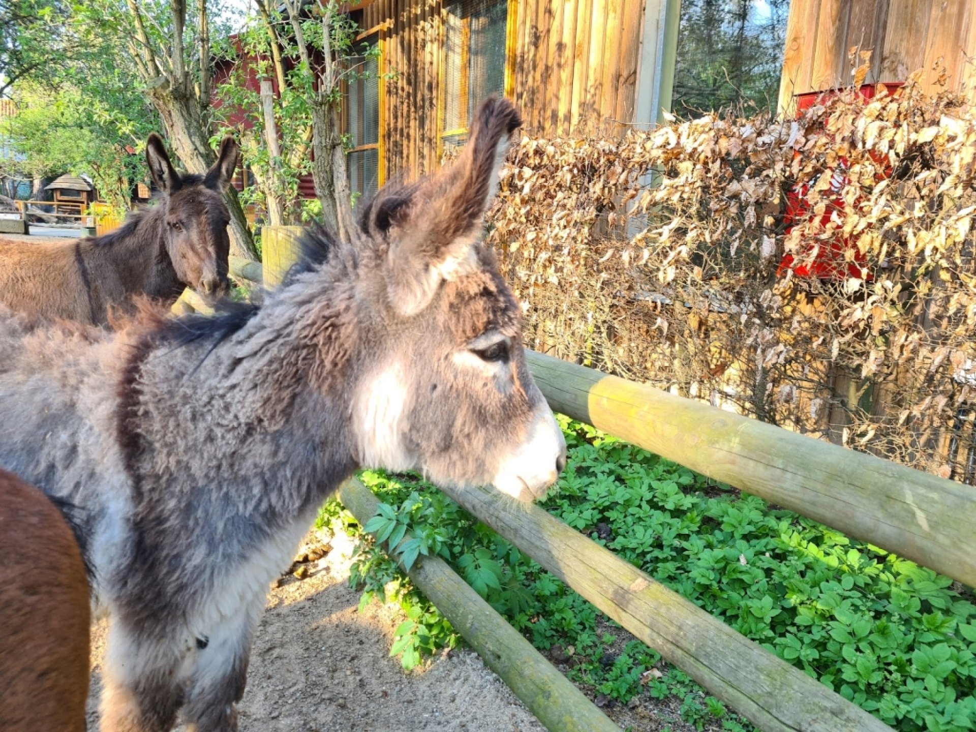BRAUNSCHWEIG ZOO 'Noah's Ark' Uwe Wilhelm GmbH, Braunschweig ...