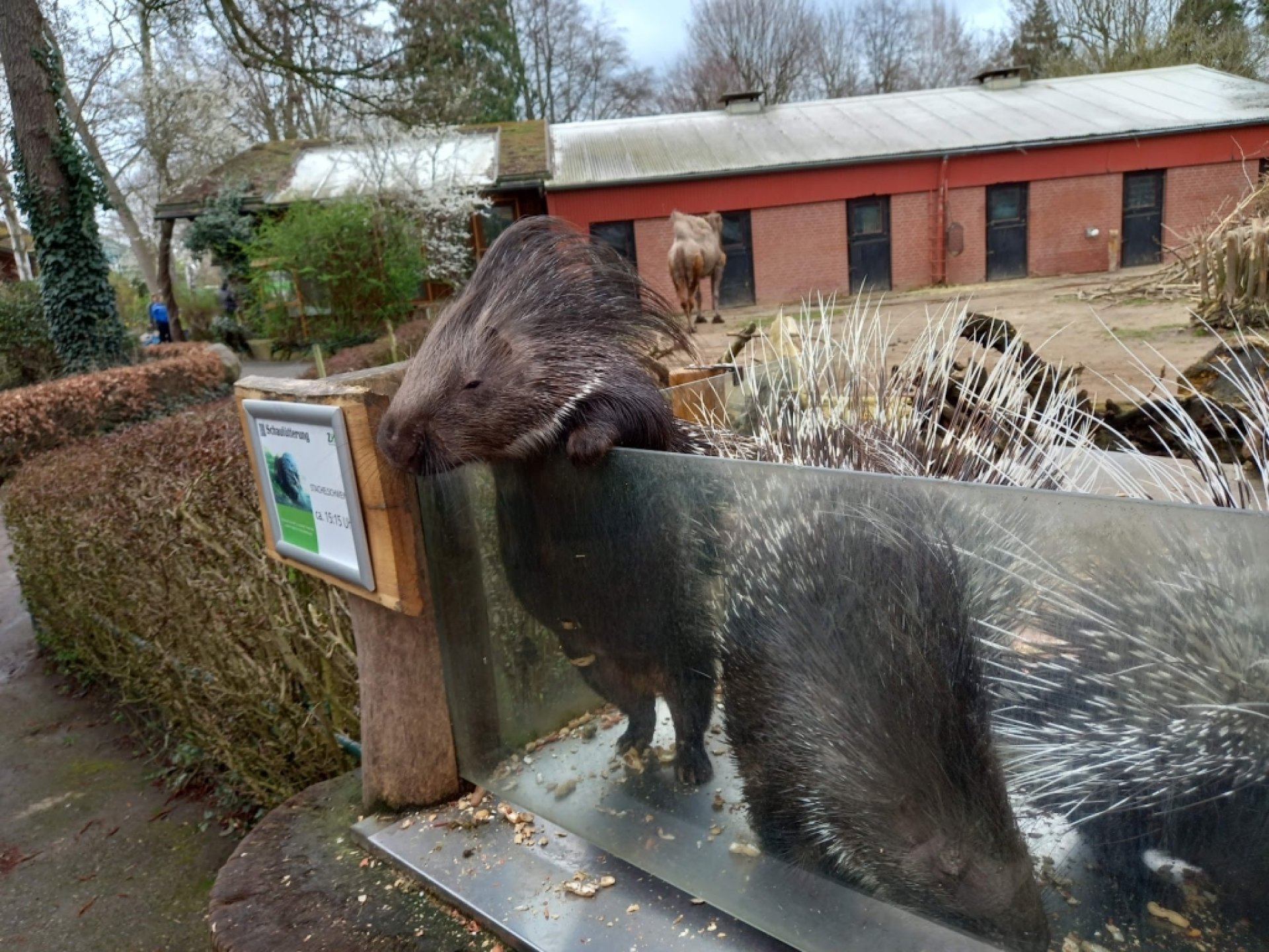 BRAUNSCHWEIG ZOO 'Noah's Ark' Uwe Wilhelm GmbH, Braunschweig ...