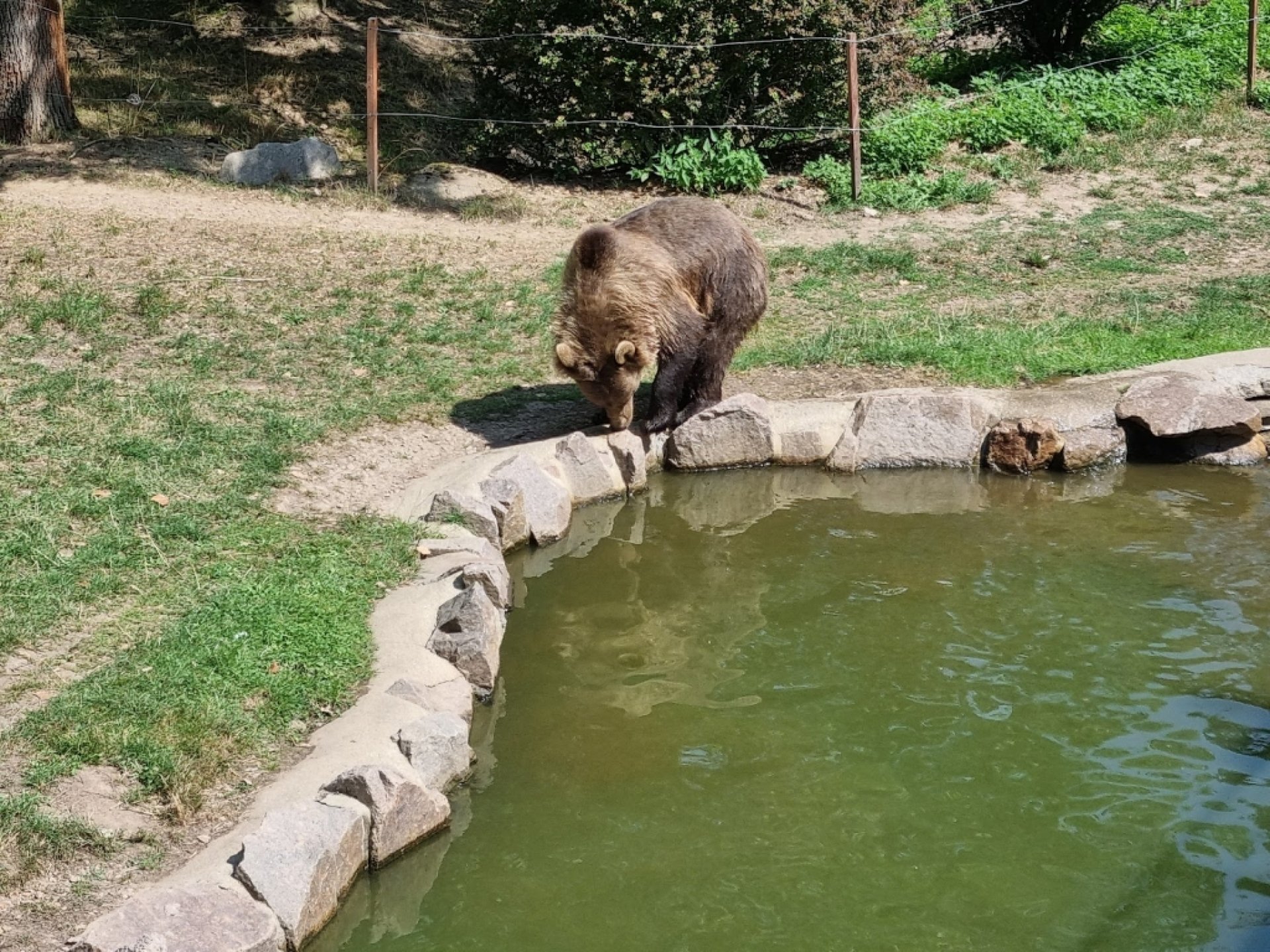Hirschfeld Wildlife Park, Zwickau: Information, Tickets and Reviews