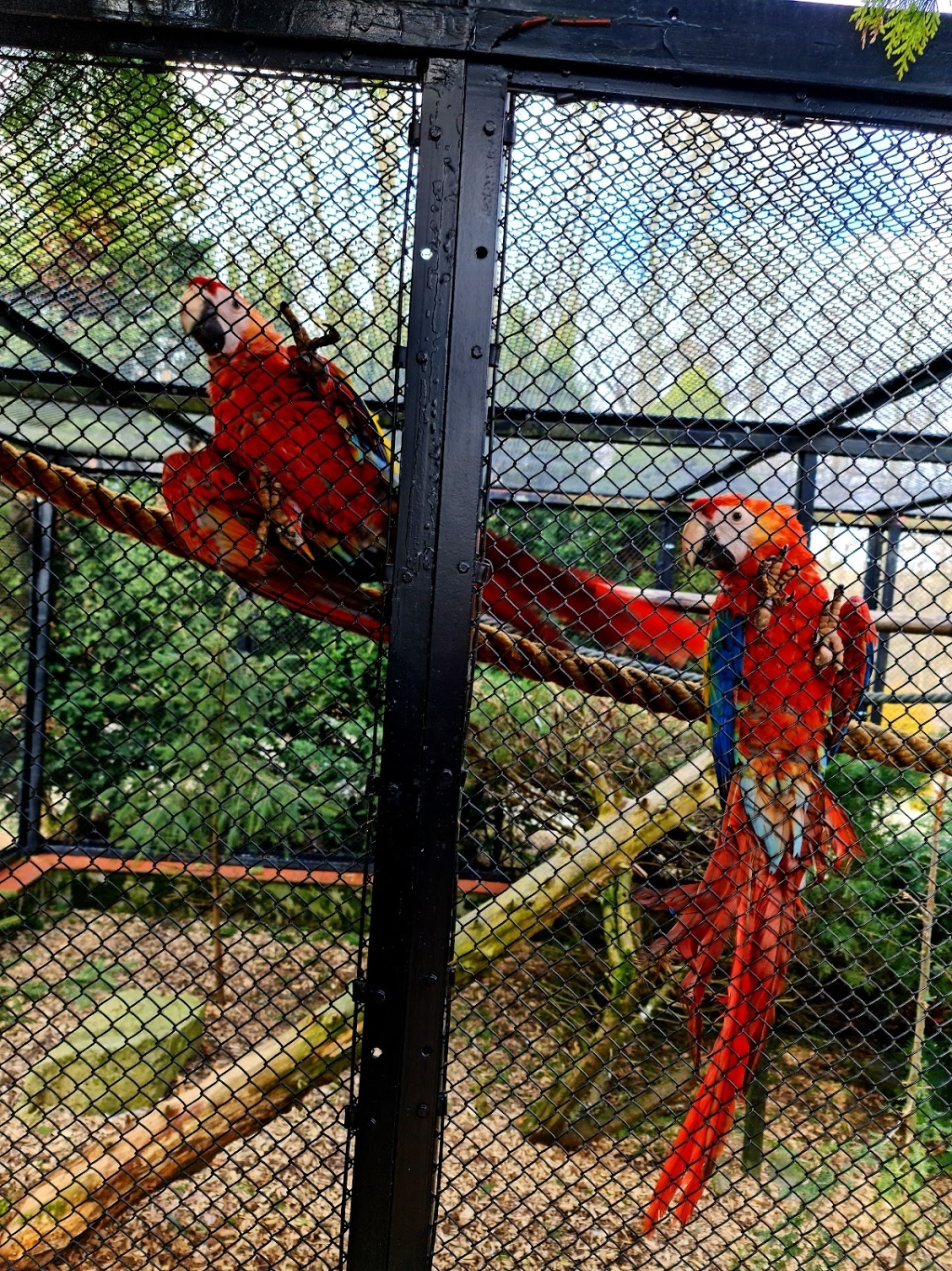 Hirschfeld Wildlife Park, Zwickau: Information, Tickets and Reviews