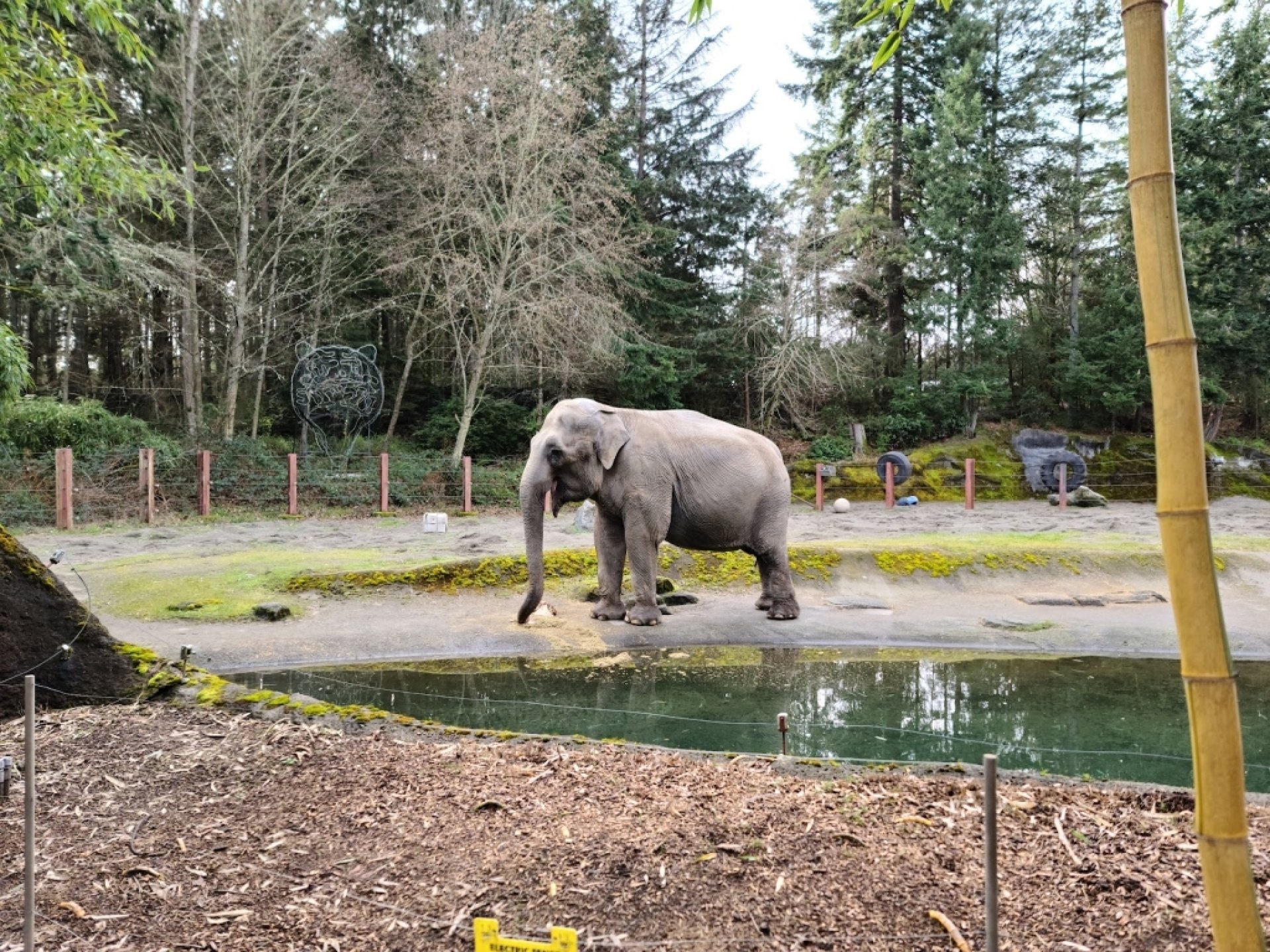 Point Defiance Zoo & Aquarium, Tacoma, WA: Information, Tickets and Reviews