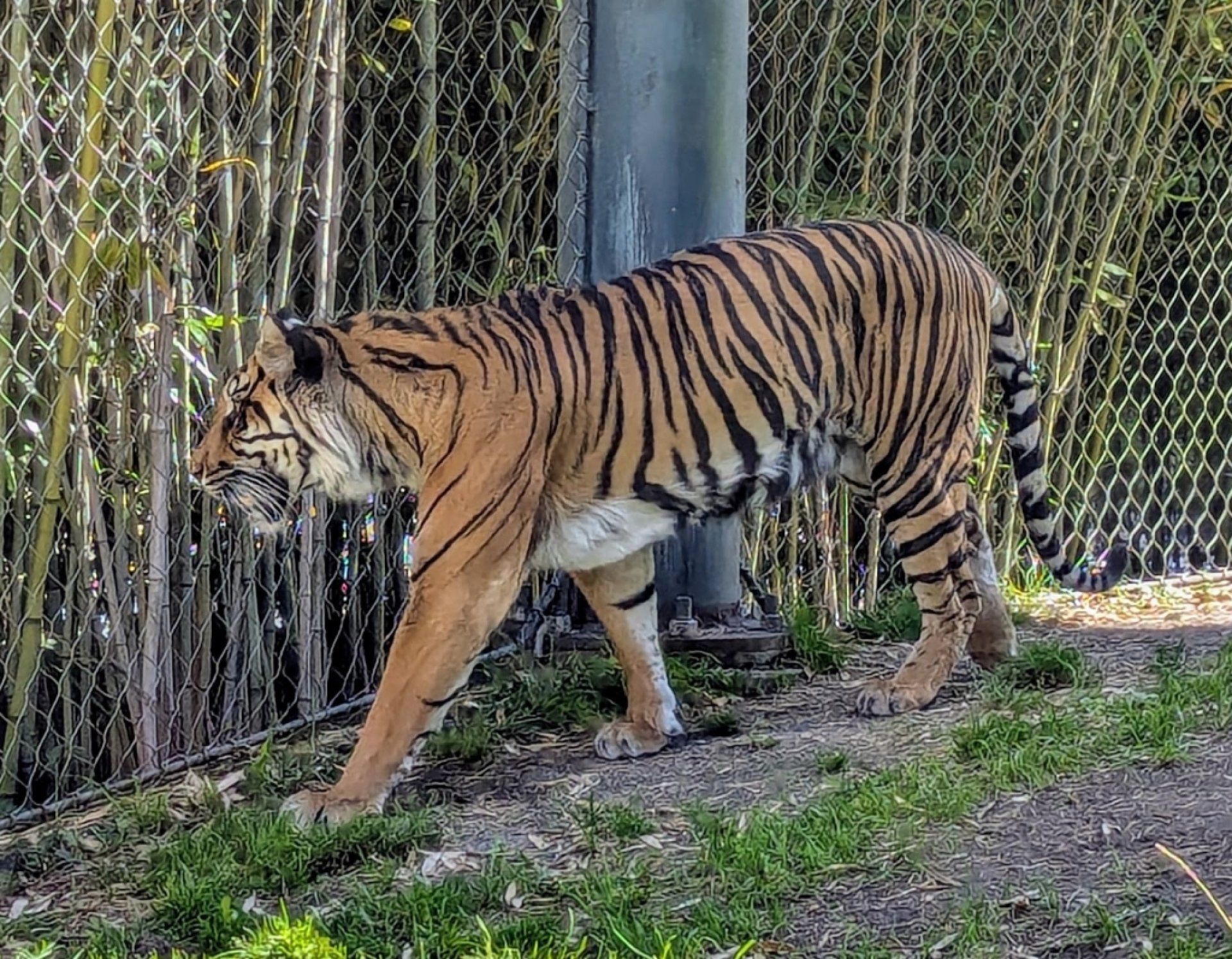 Point Defiance Zoo & Aquarium, Tacoma, WA: Information, Tickets and Reviews