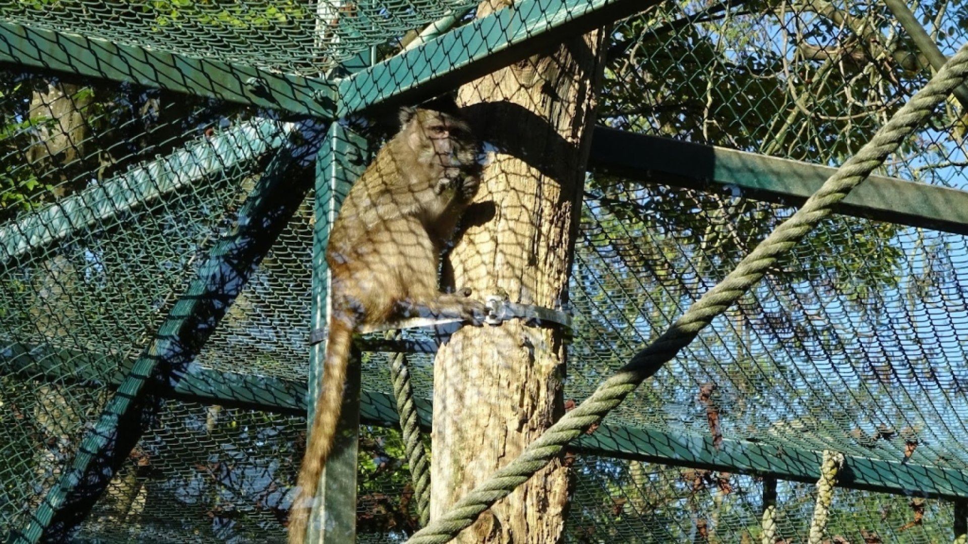 Saarbrücken Zoo: Information, Tickets and Reviews