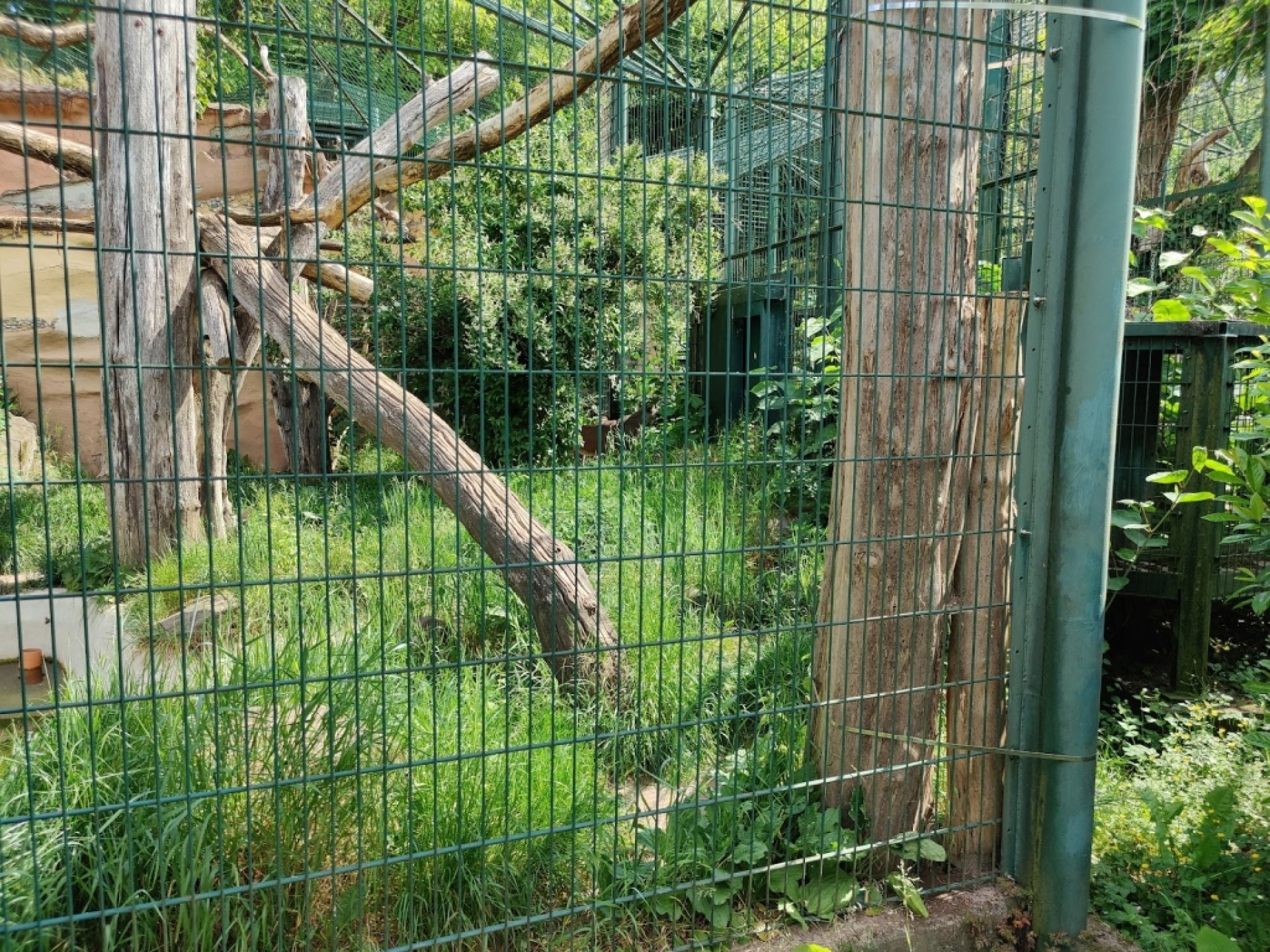 Saarbrücken Zoo: Information, Tickets and Reviews