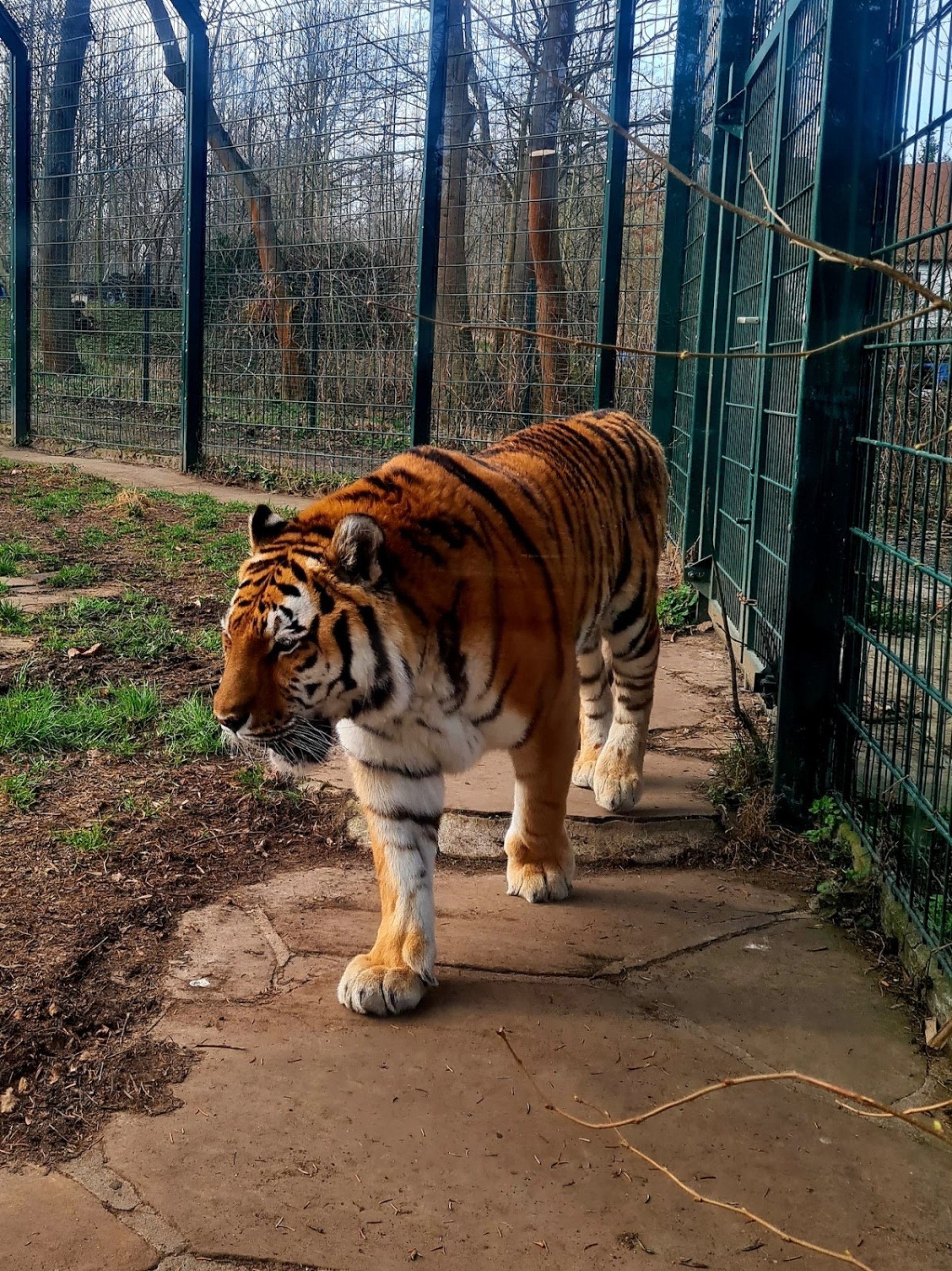 Gotha Zoo: Information, Tickets and Reviews