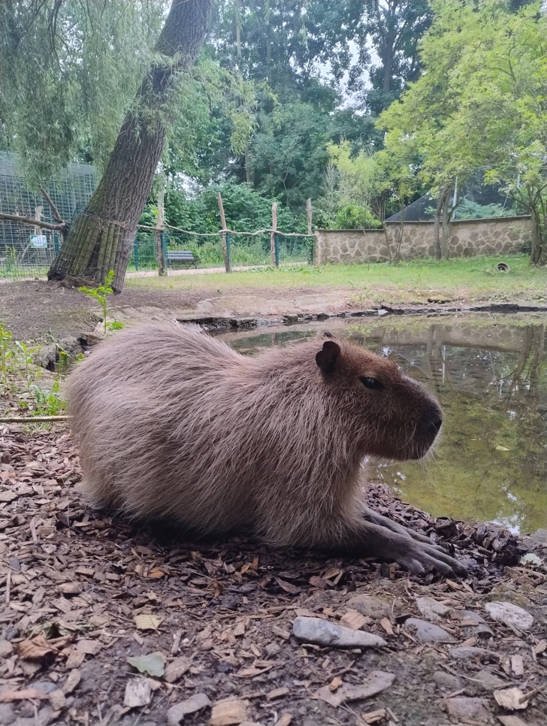 Gotha Zoo: Information, Tickets and Reviews