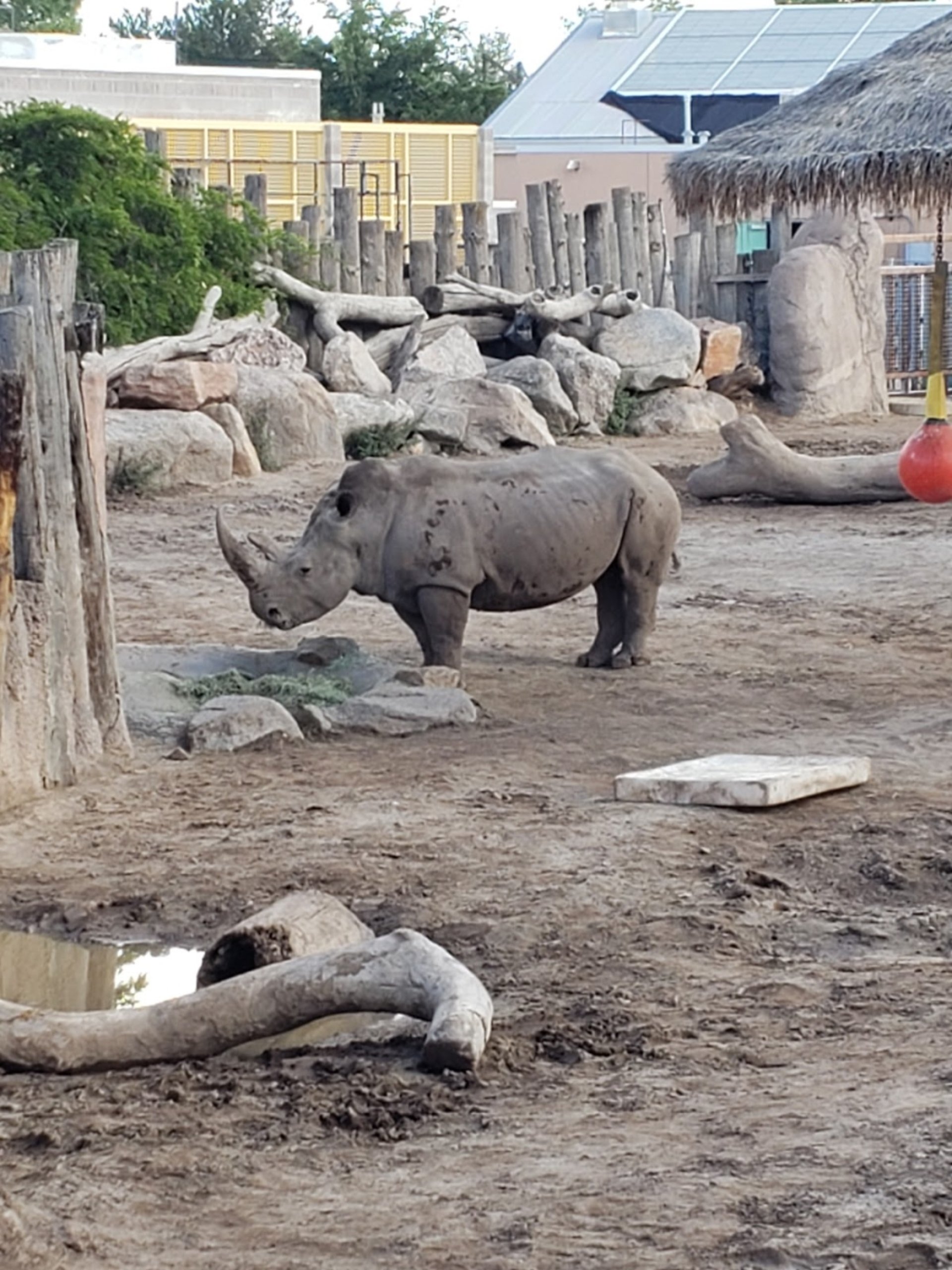 ABQ BioPark Zoo, Albuquerque, NM: Information, Tickets and Reviews