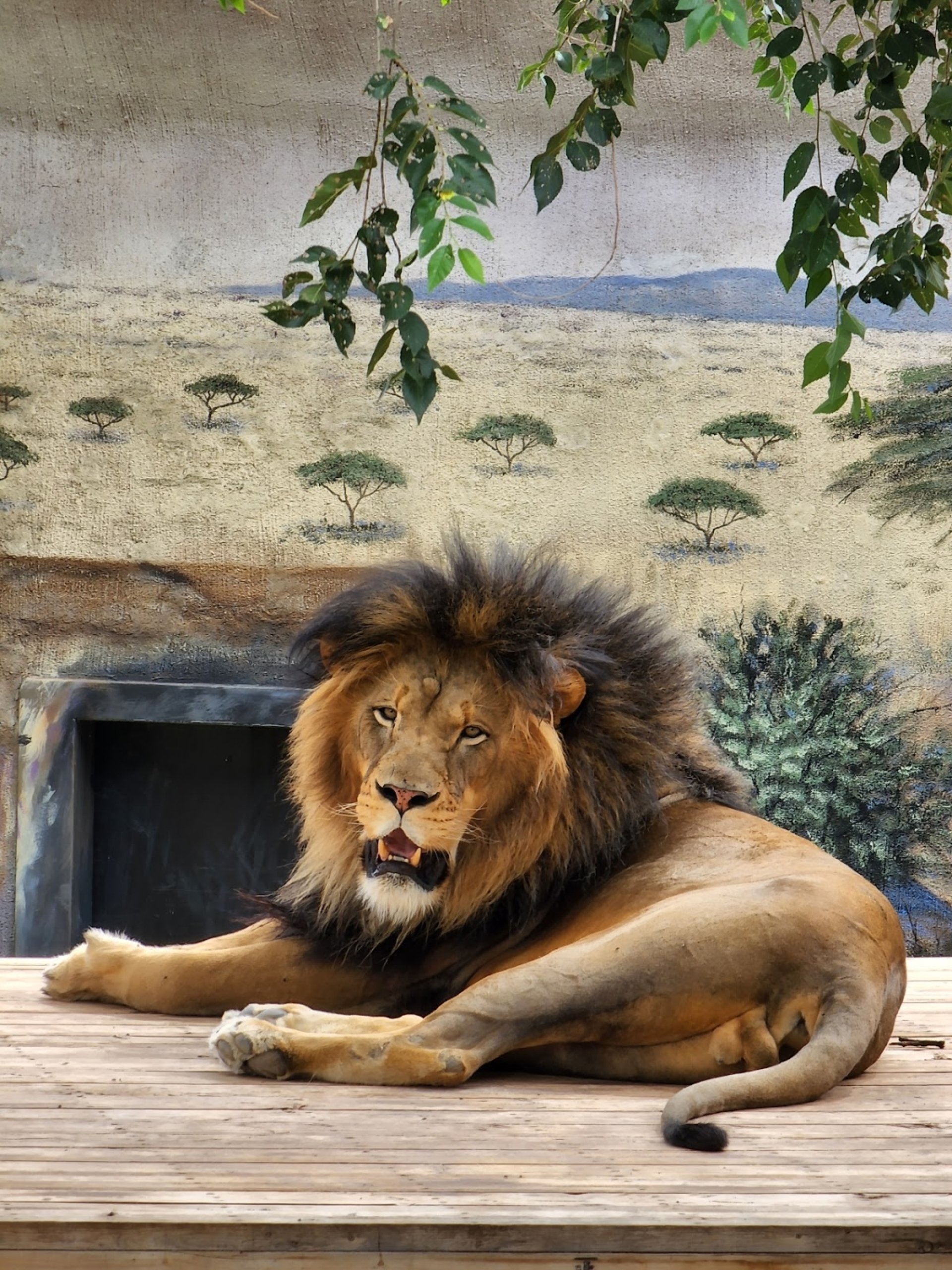 ABQ BioPark Zoo, Albuquerque, NM: Information, Tickets and Reviews