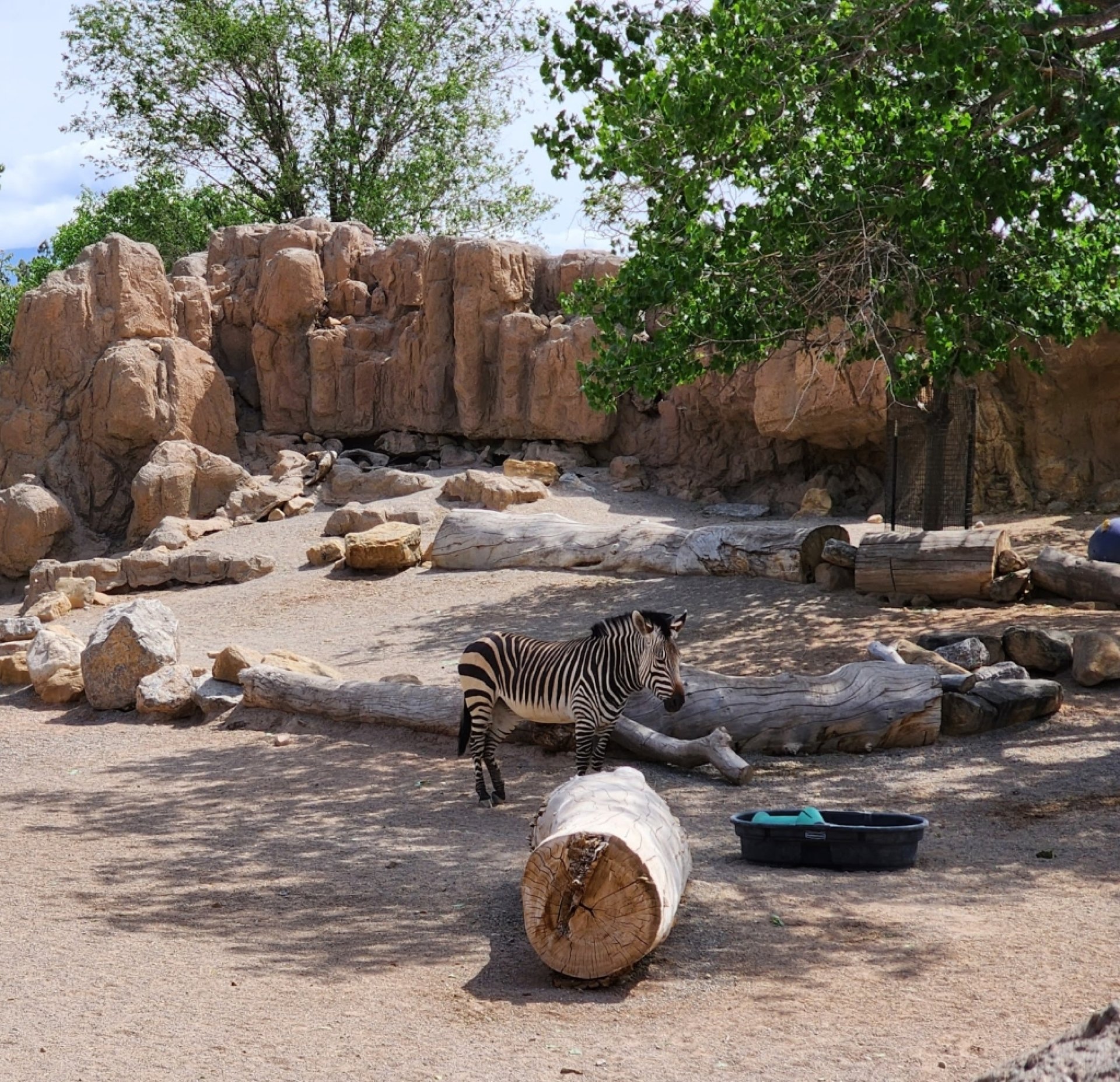 ABQ BioPark Zoo, Albuquerque, NM: Information, Tickets and Reviews