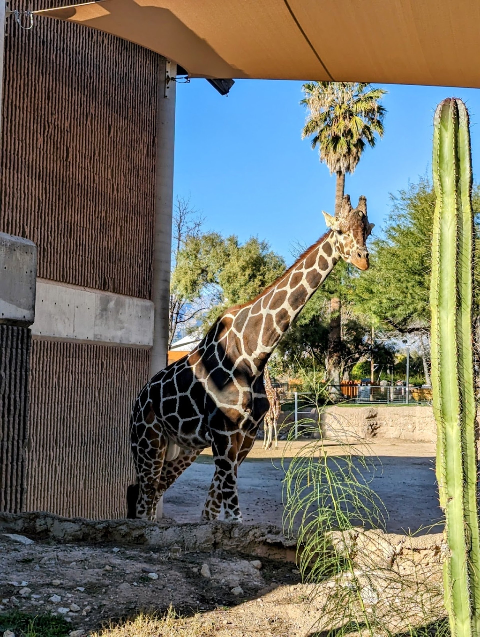 Reid Park Zoo, Tucson, AZ: Information, Tickets and Reviews