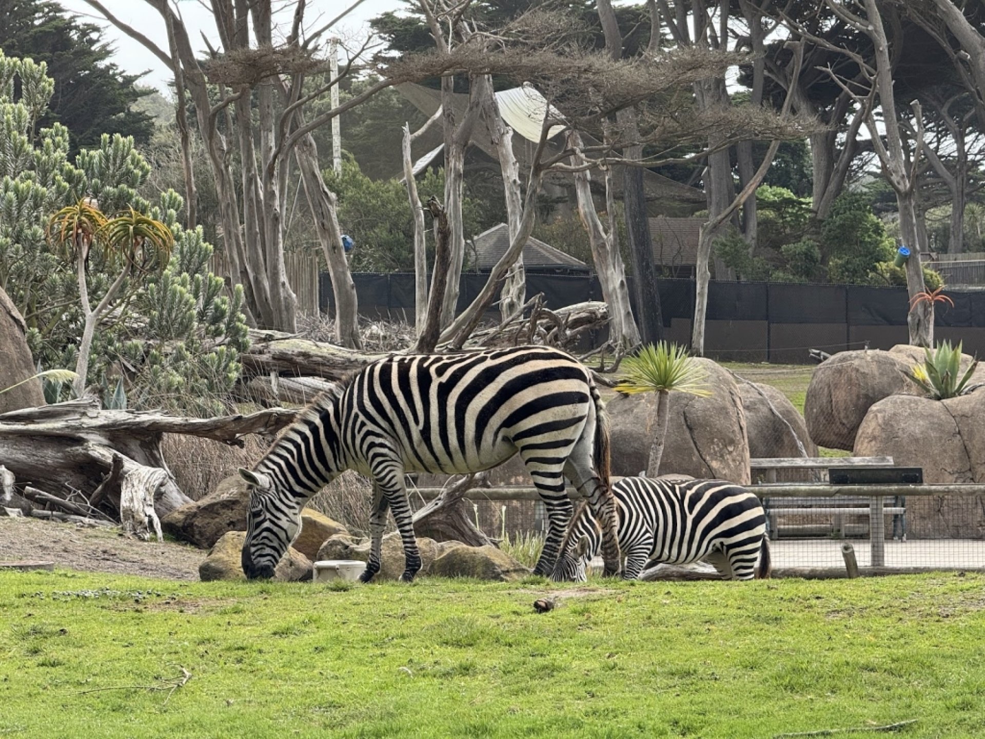San Francisco Zoo: Information, Tickets and Reviews