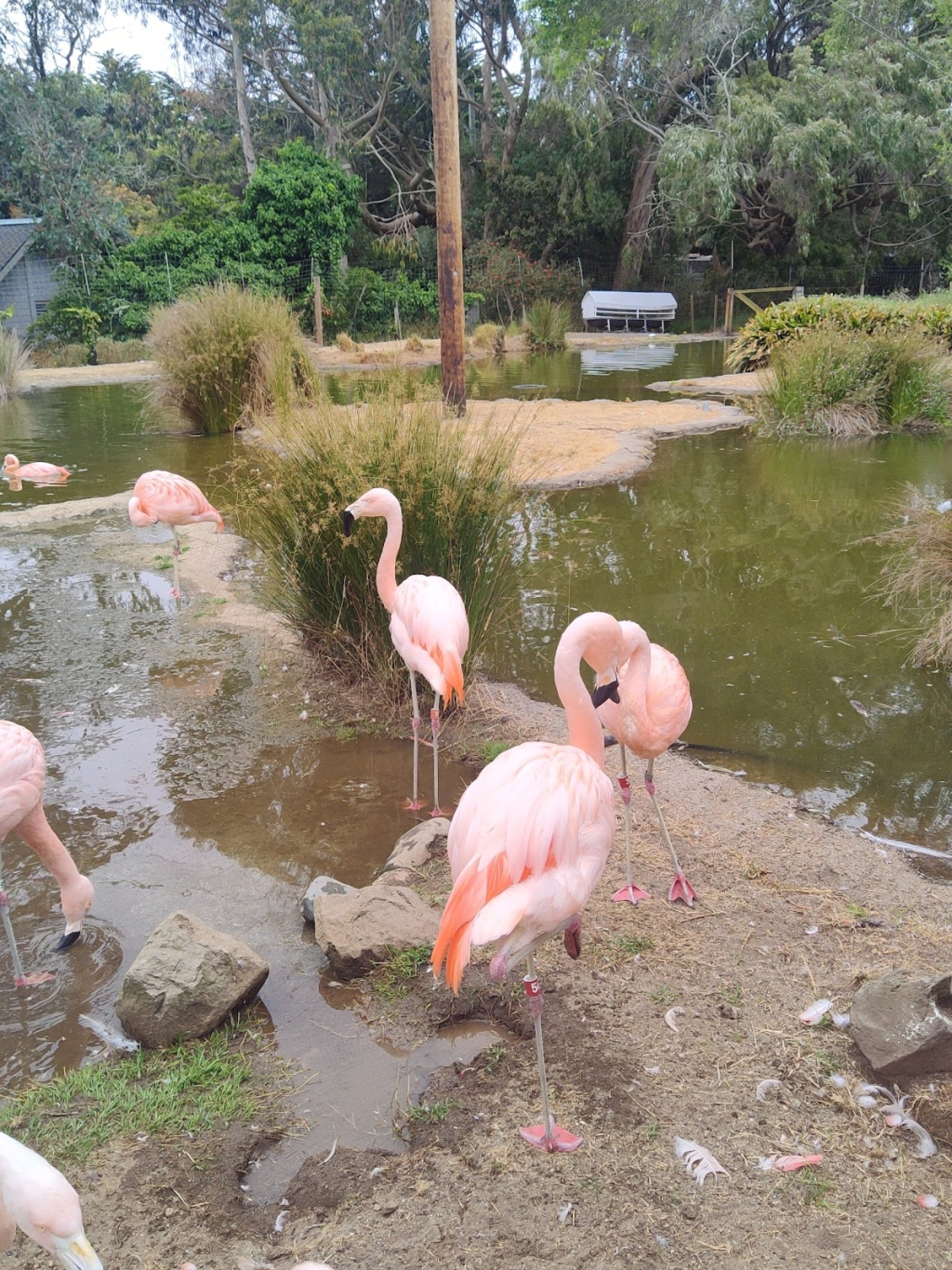 San Francisco Zoo: Information, Tickets and Reviews