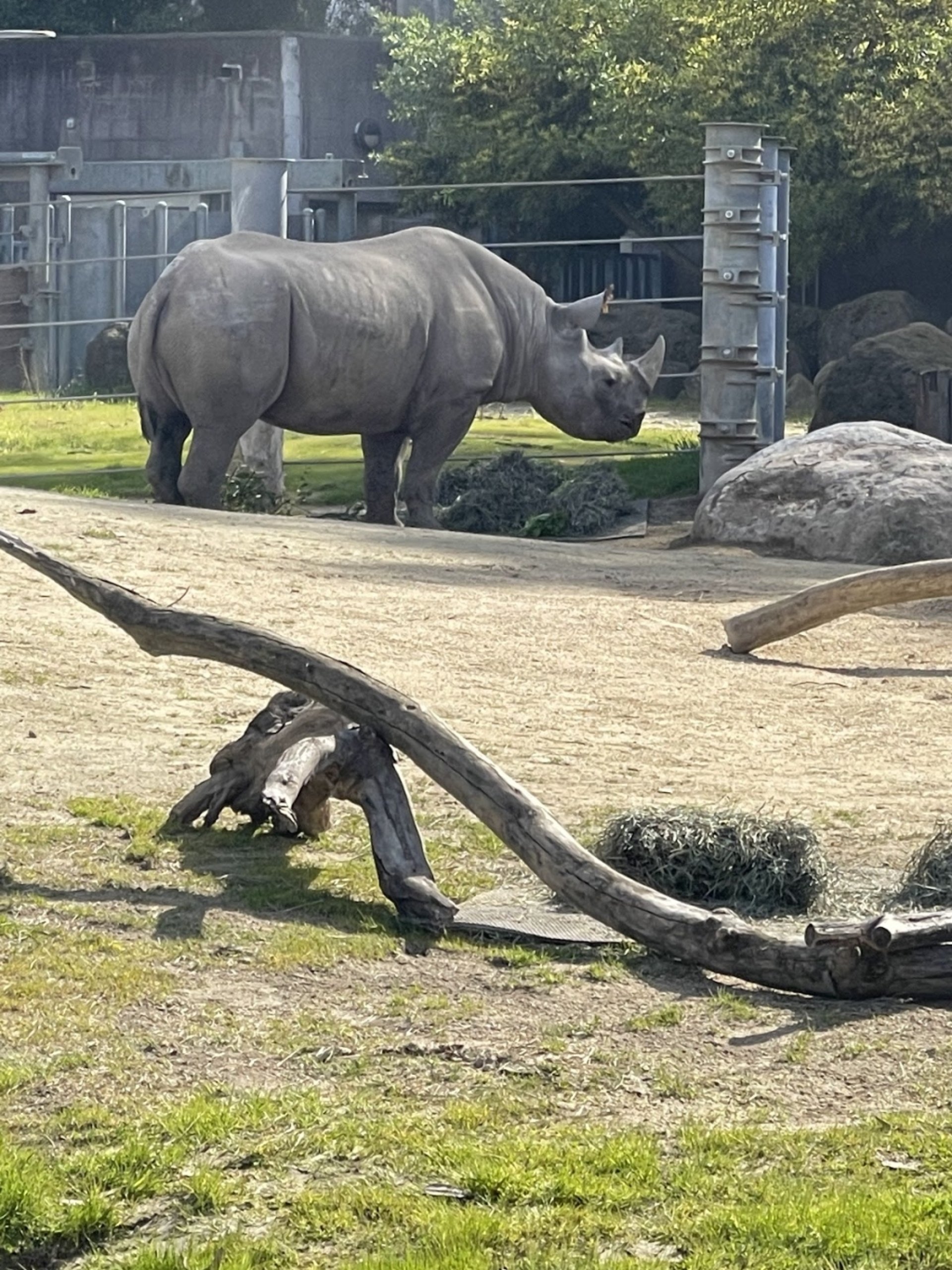 San Francisco Zoo: Information, Tickets and Reviews