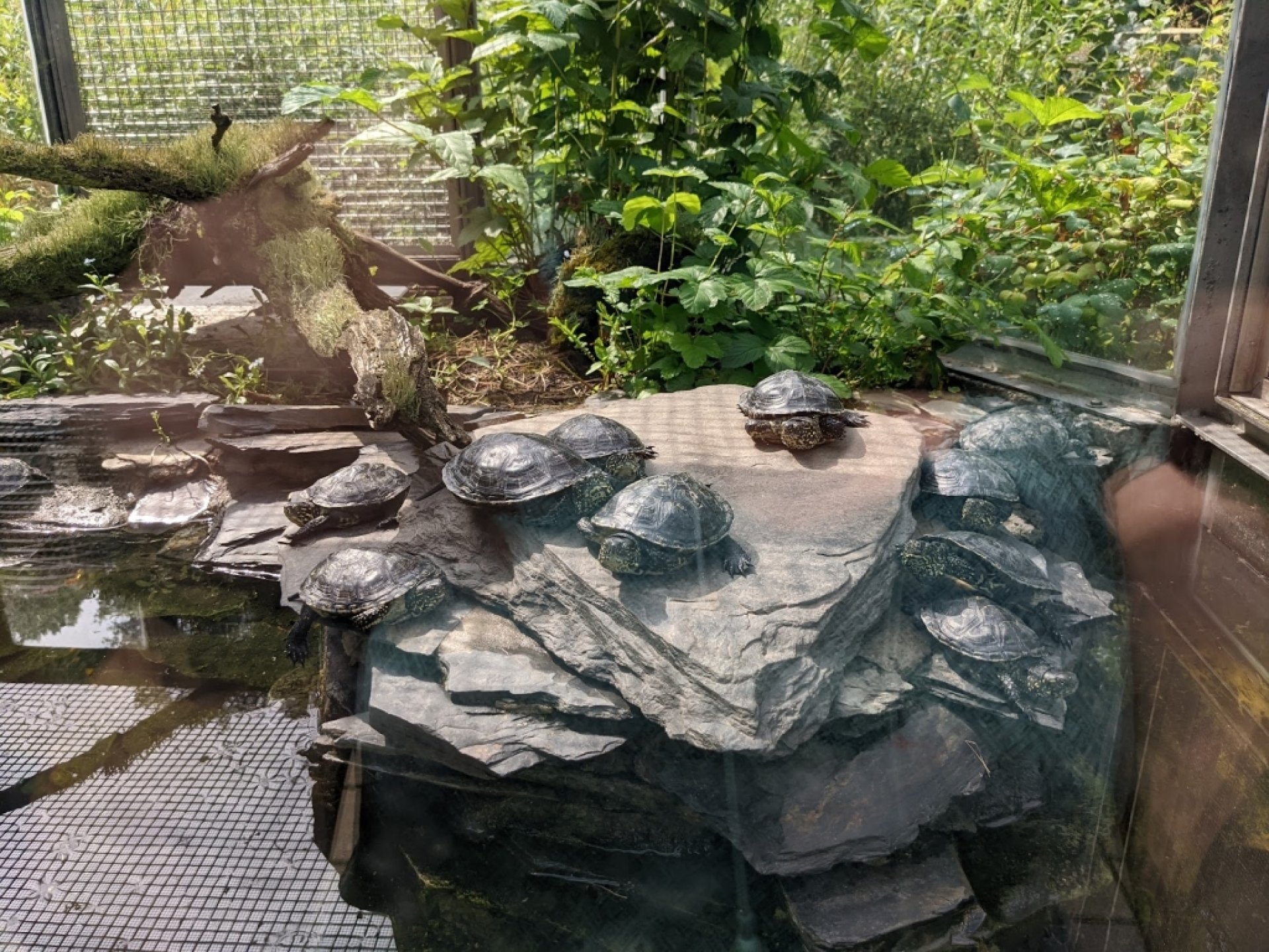 Outdoor Aquarium and Terrarium, Stein: Information, Tickets and Reviews